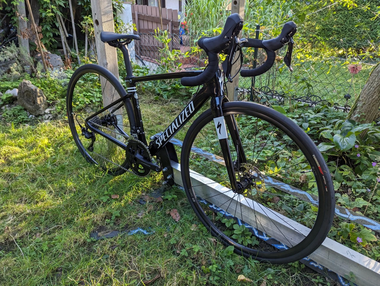 Specialized Roubaix Sport used in 49 cm | buycycle