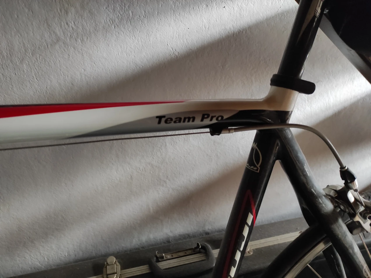 Fuji Team Pro gebraucht kaufen L | buycycle