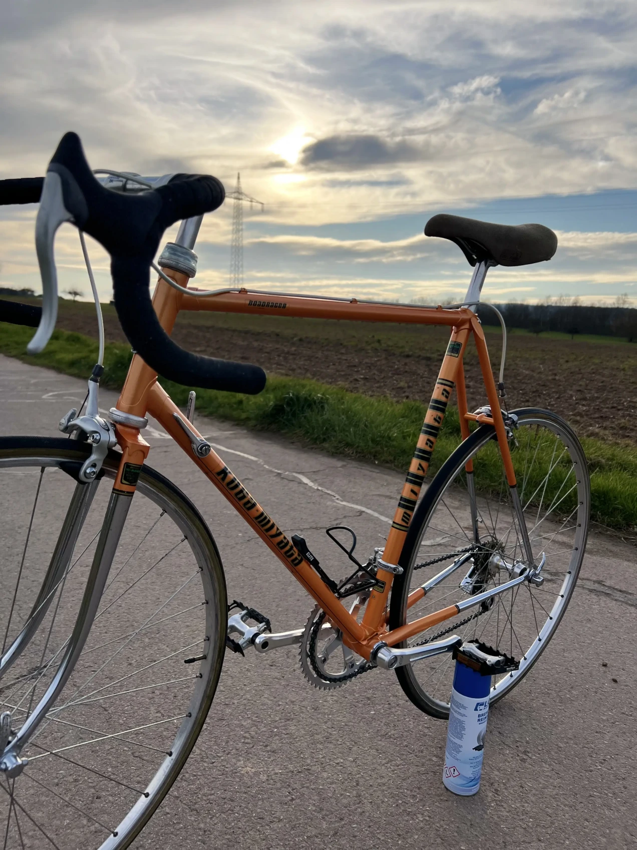 Koga Koga miyata used in XL | buycycle