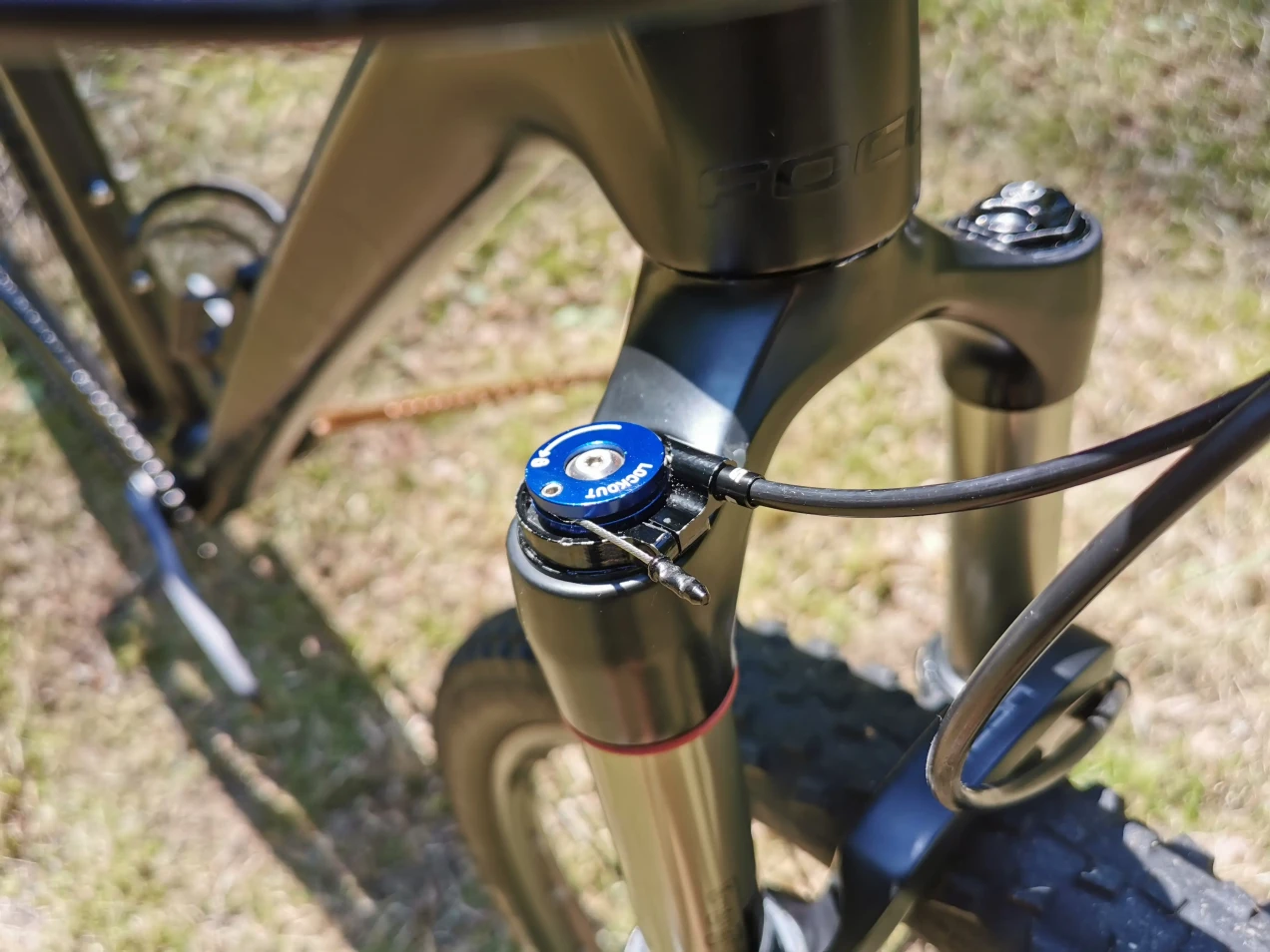 Focus Raven used in m | buycycle