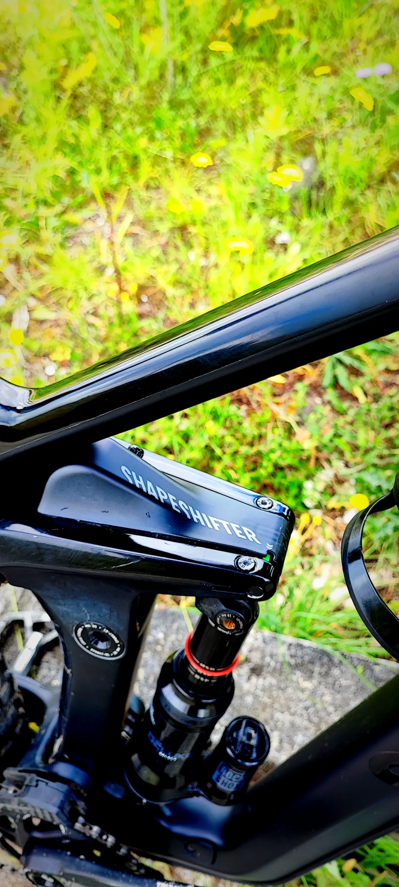 Canyon Strive CF 7 used in s | buycycle