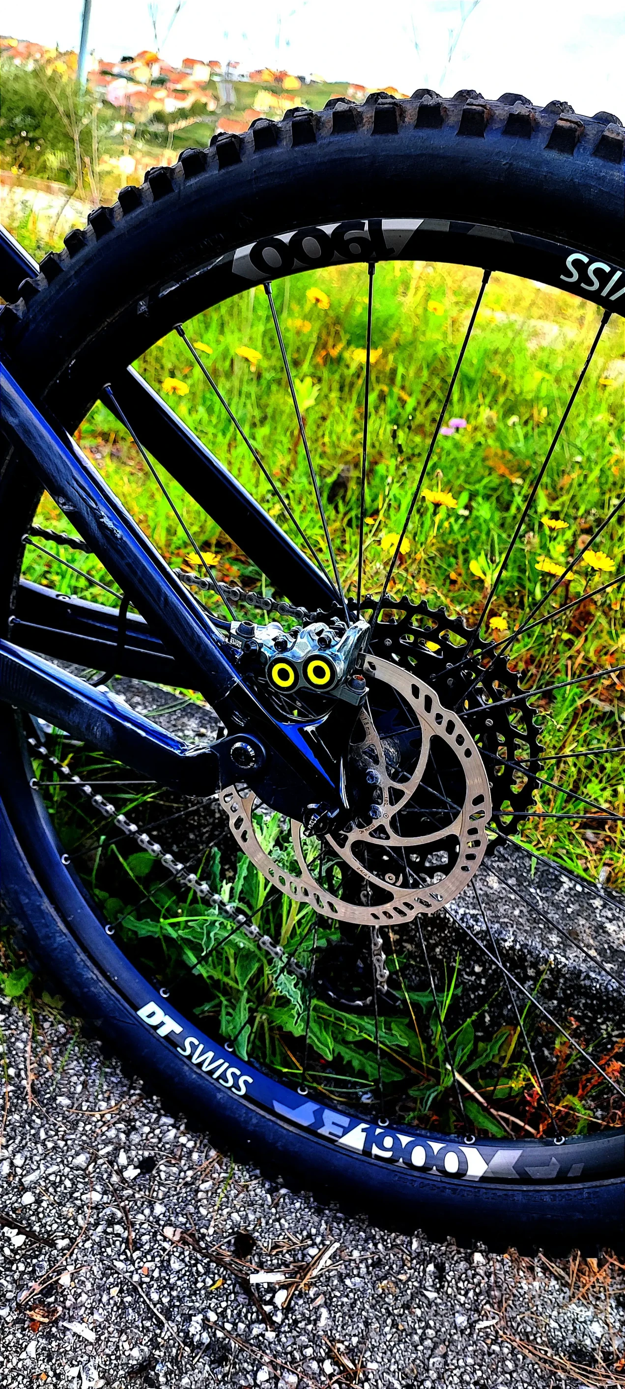 Canyon Strive CF 7 used in s | buycycle