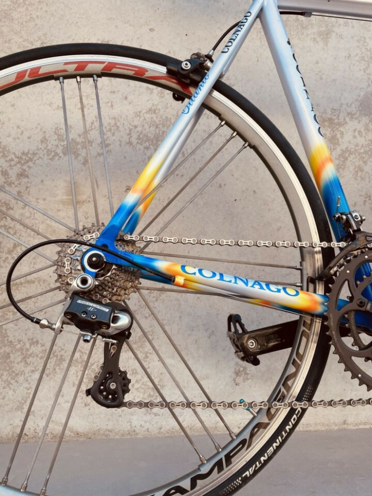 Colnago Custom Rennrad used in 56 cm | buycycle