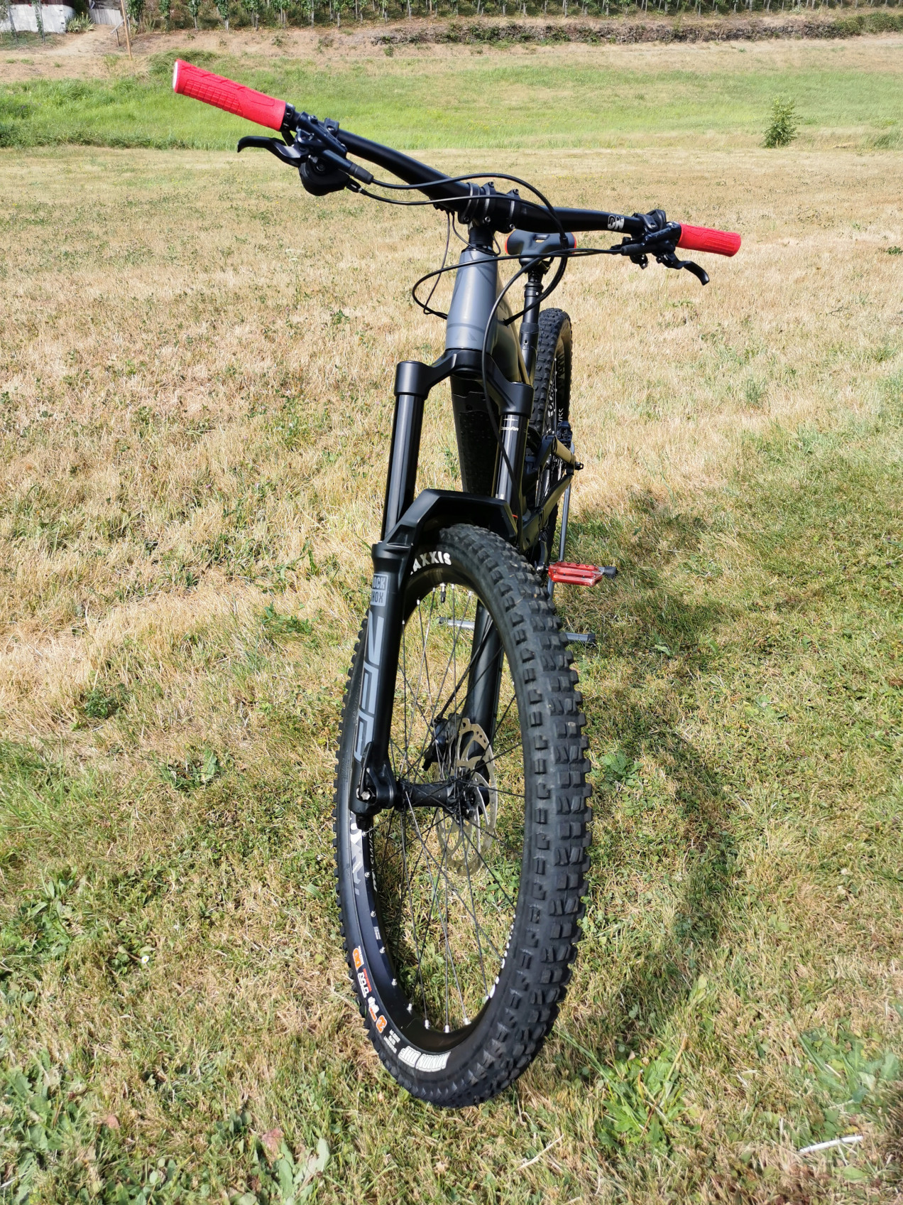 Canyon Torque:ON 8 used in m | buycycle