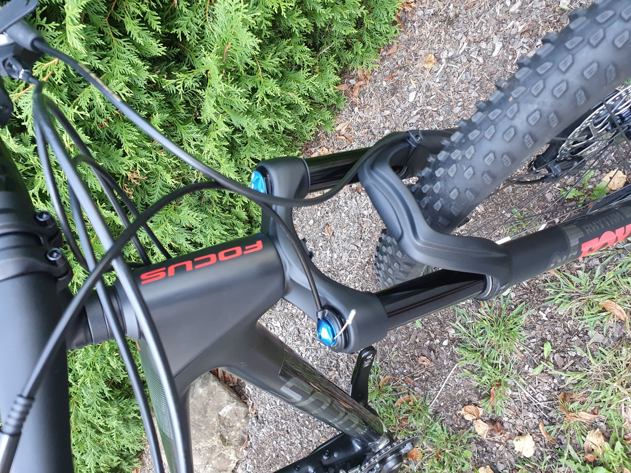 Focus RAVEN 8.7 used in m | buycycle