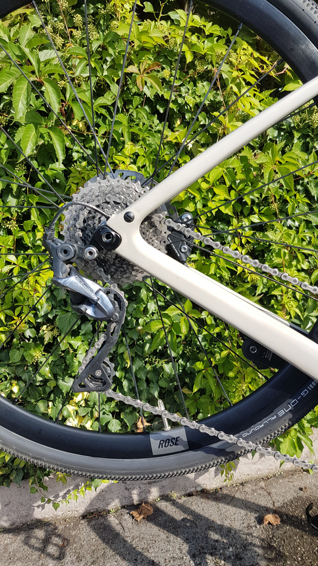 Rose BACKROAD MULTICROSS Ultegra used in 59 cm | buycycle