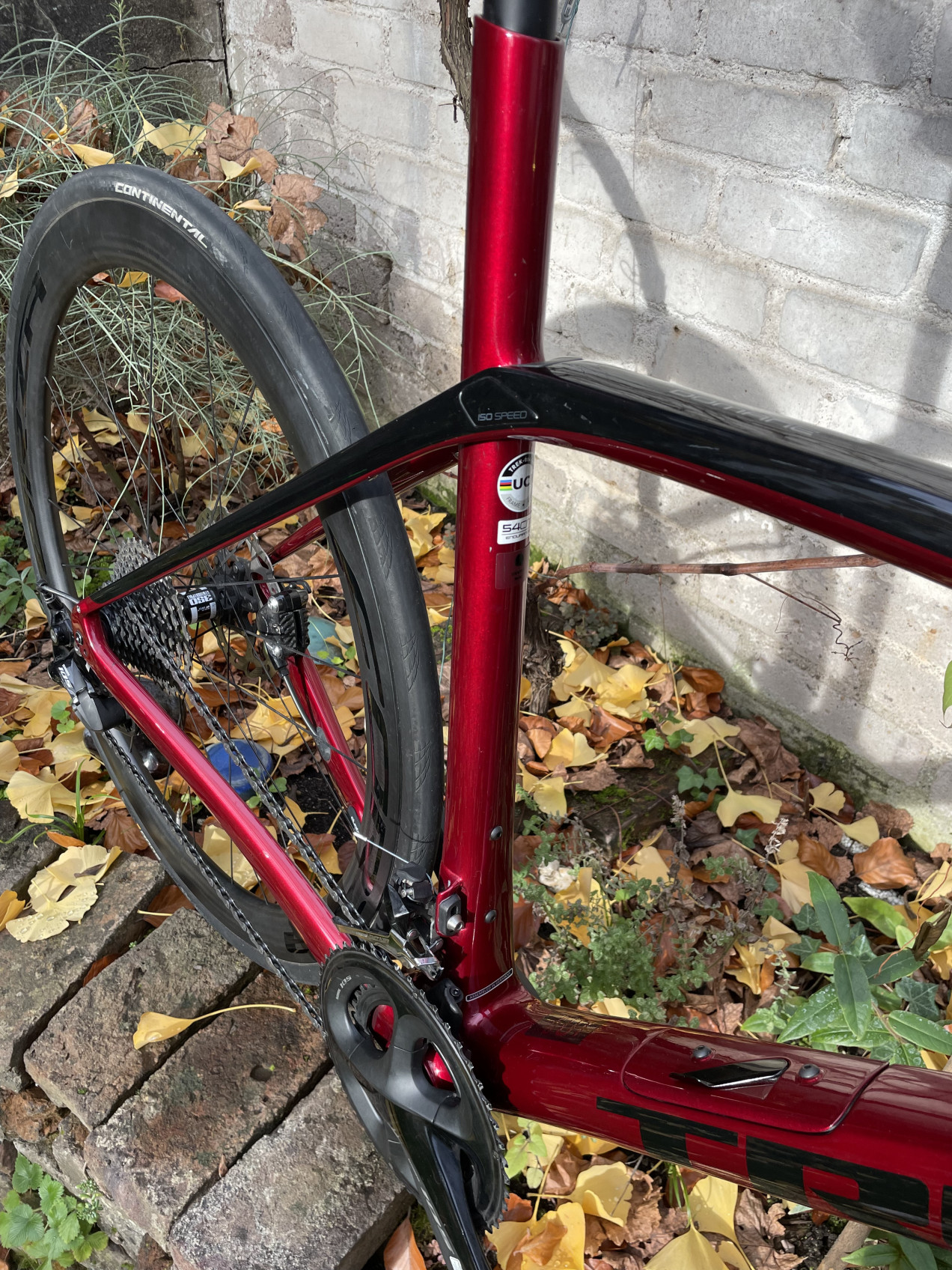 Trek Domane SL 5 použitý v m | buycycle