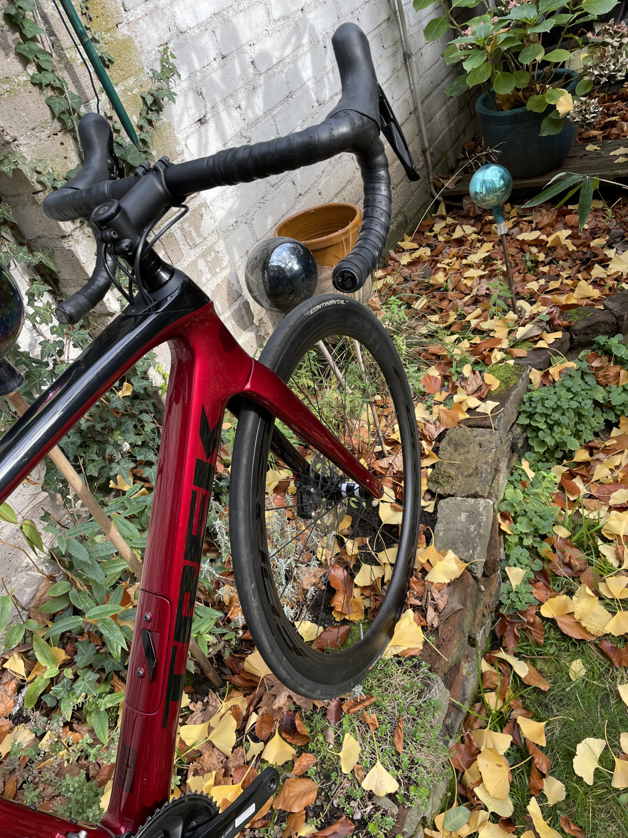 Trek Domane SL 5 použitý v m | buycycle