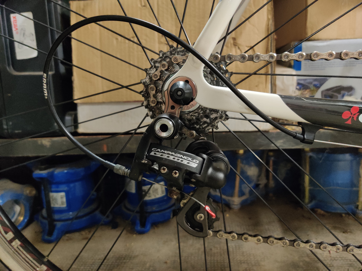 Colnago Ace Carbon used in L | buycycle