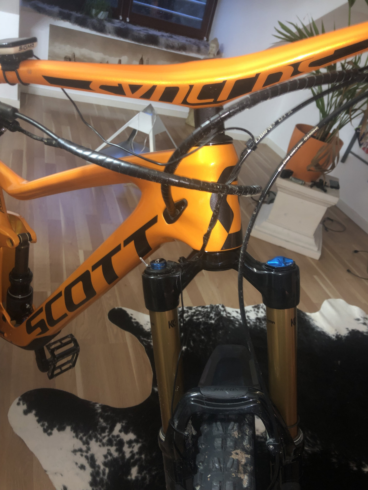 Scott Ransom 900 Tuned gebruikt in L | buycycle