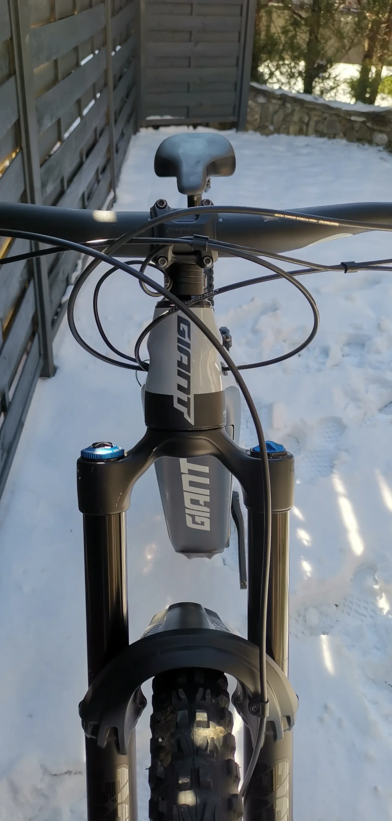 Giant Reign E+ 1 gebruikt in L | buycycle