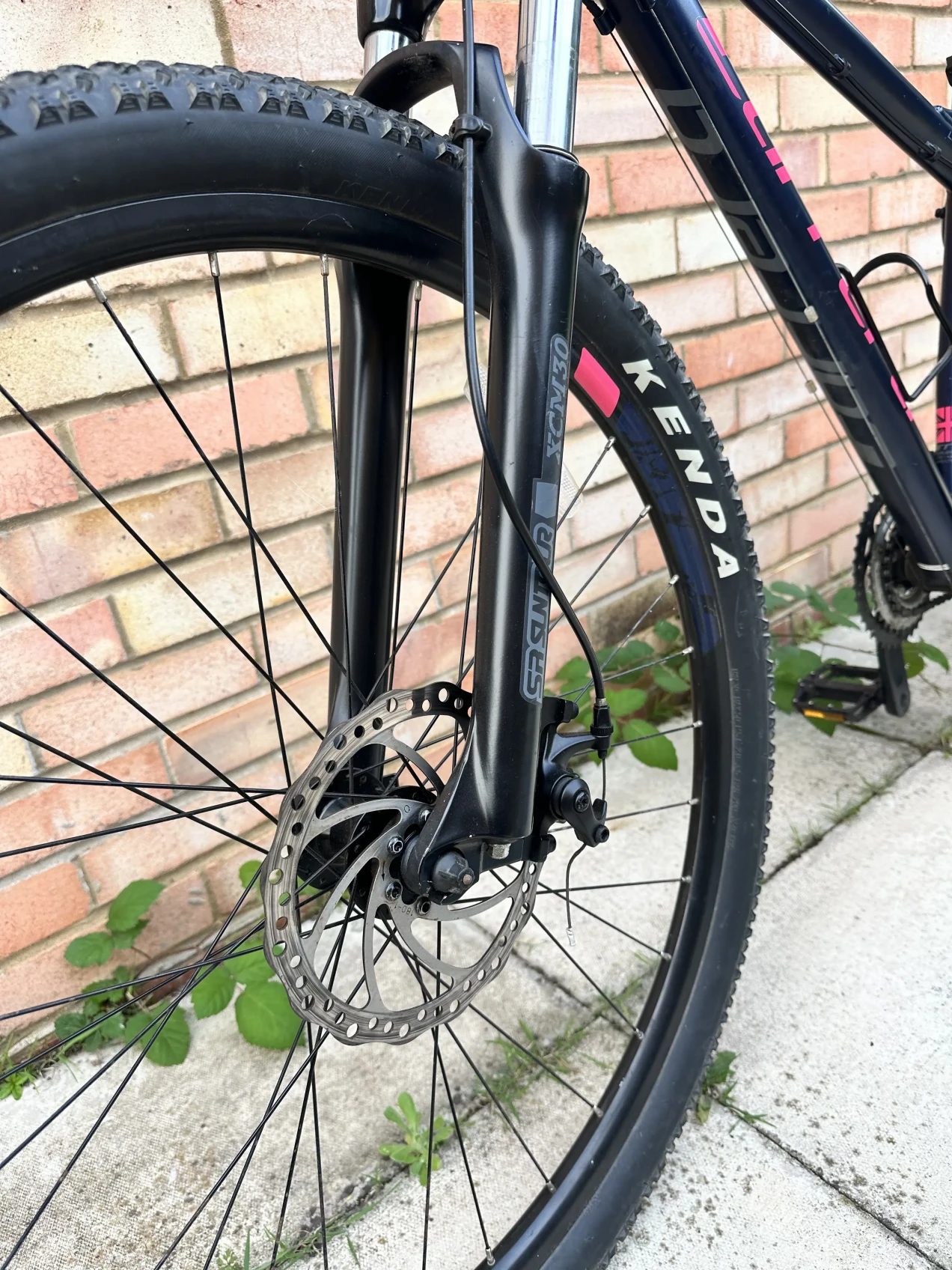 Carrera Hellcat Womens Mountain Bike used in 46 cm | buycycle