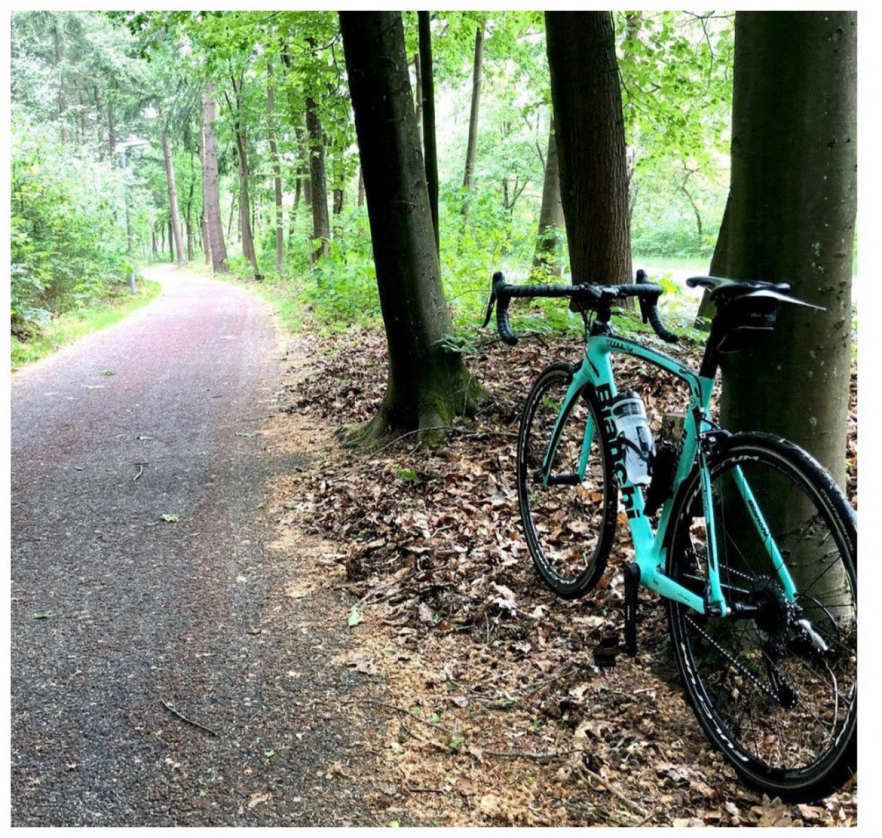 Bianchi Oltre Xr4 Sram red used in m | buycycle