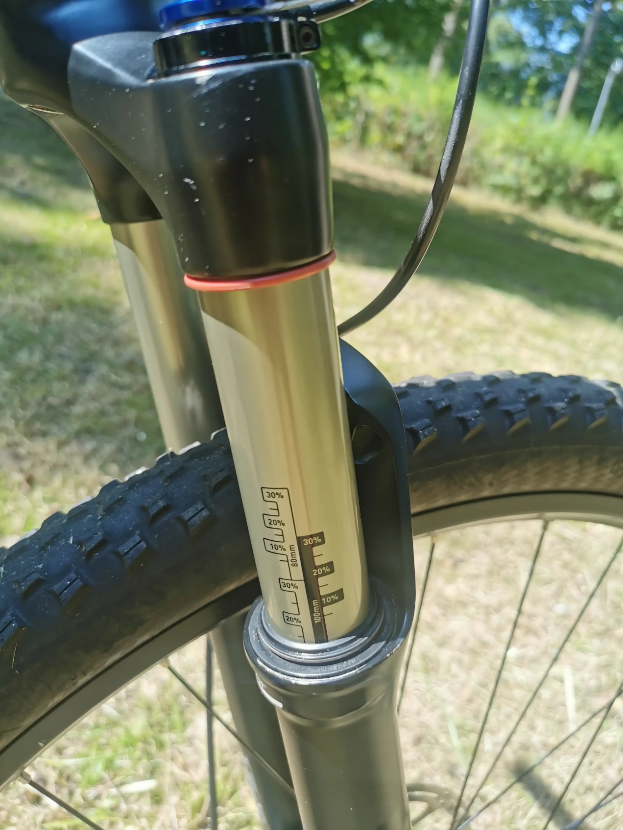 Focus Raven used in m | buycycle