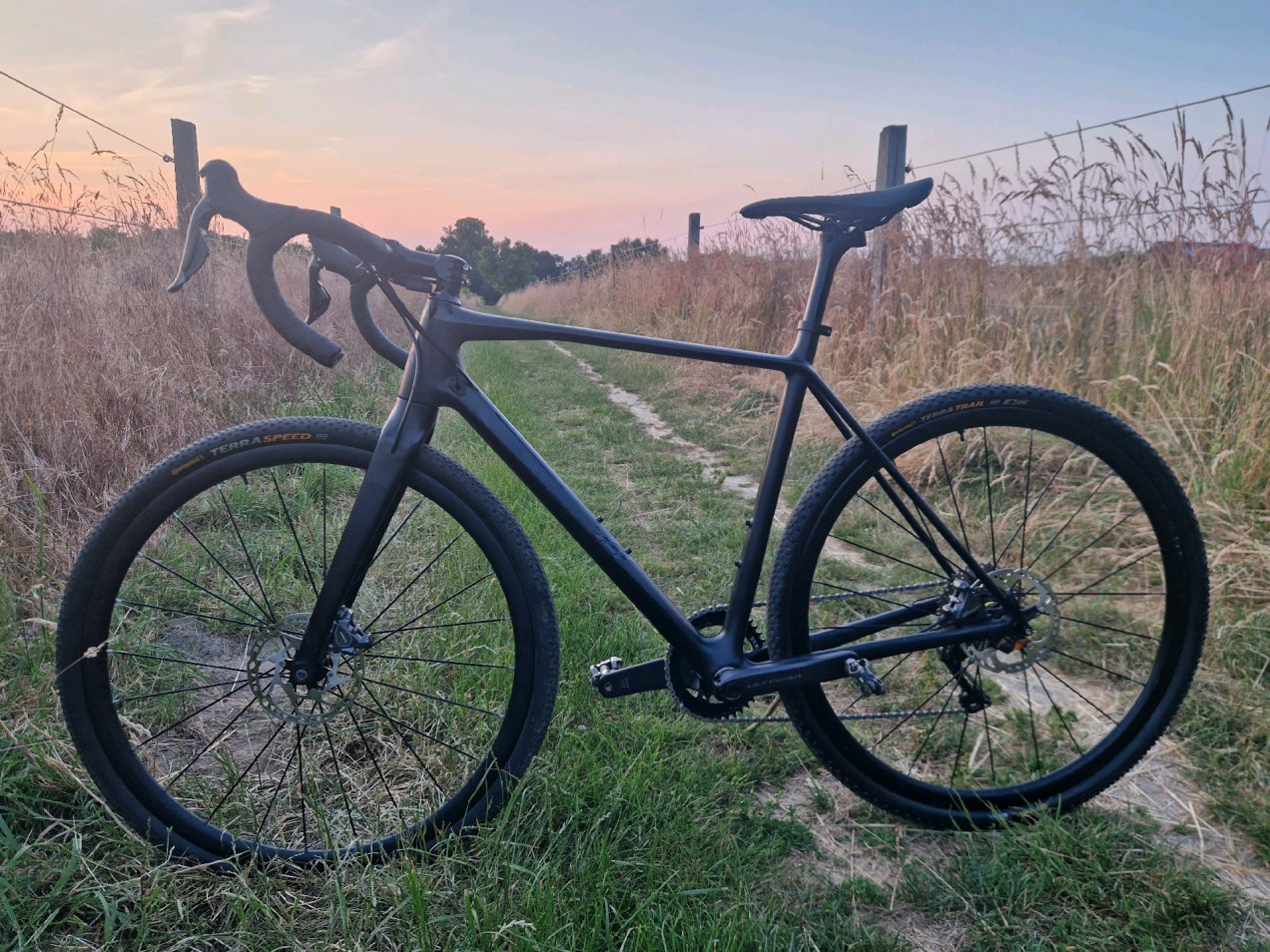 C14 Speed Pro used in s | buycycle