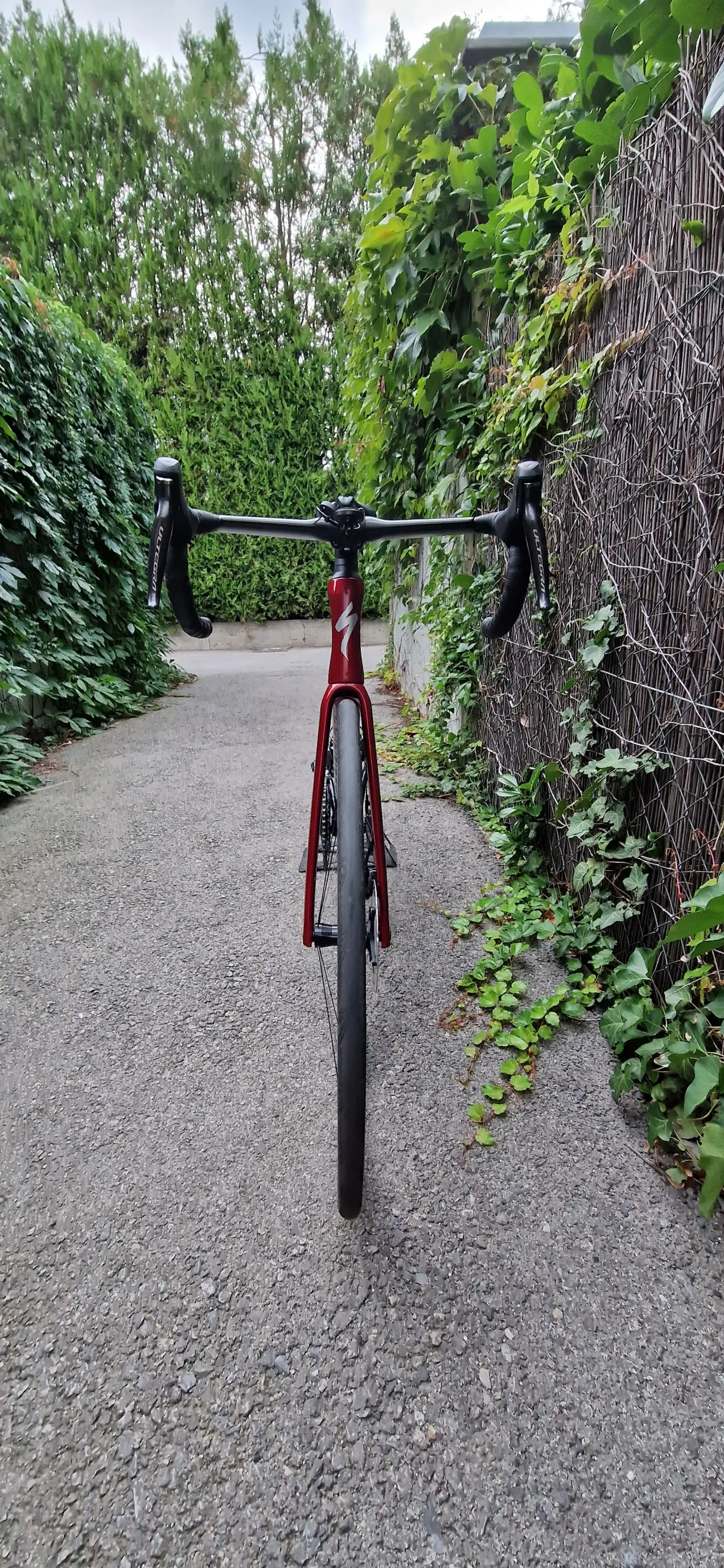 Specialized Tarmac SL7 Expert - Ultegra Di2 utilizado en L | buycycle