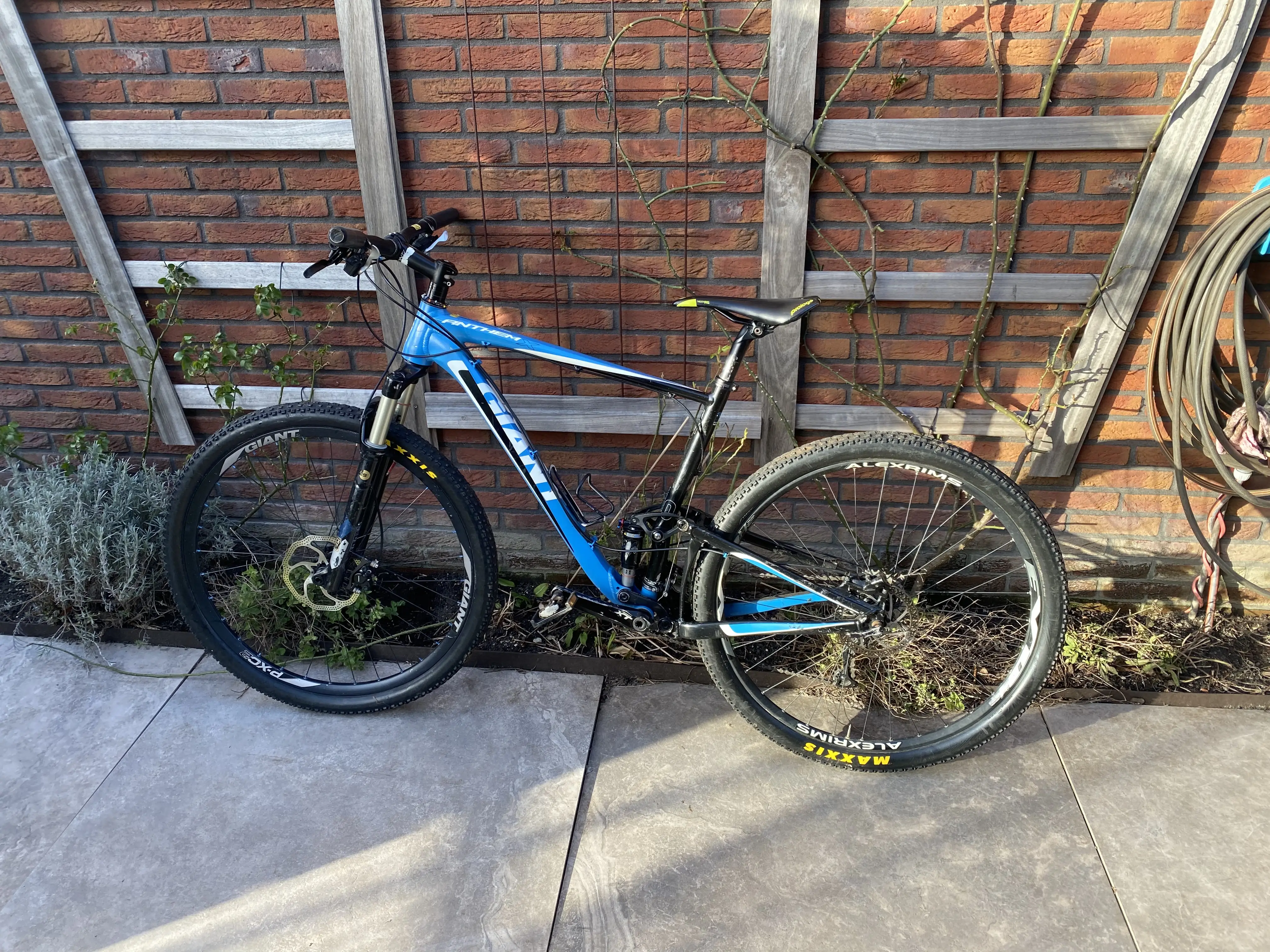 Giant Anthem X 29er 3 gebraucht kaufen xl | buycycle