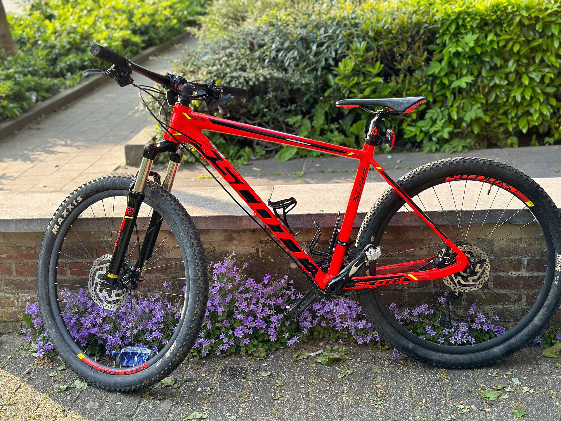 Achetez un vélo d'occasion Scott Scale 980 en l | buycycle