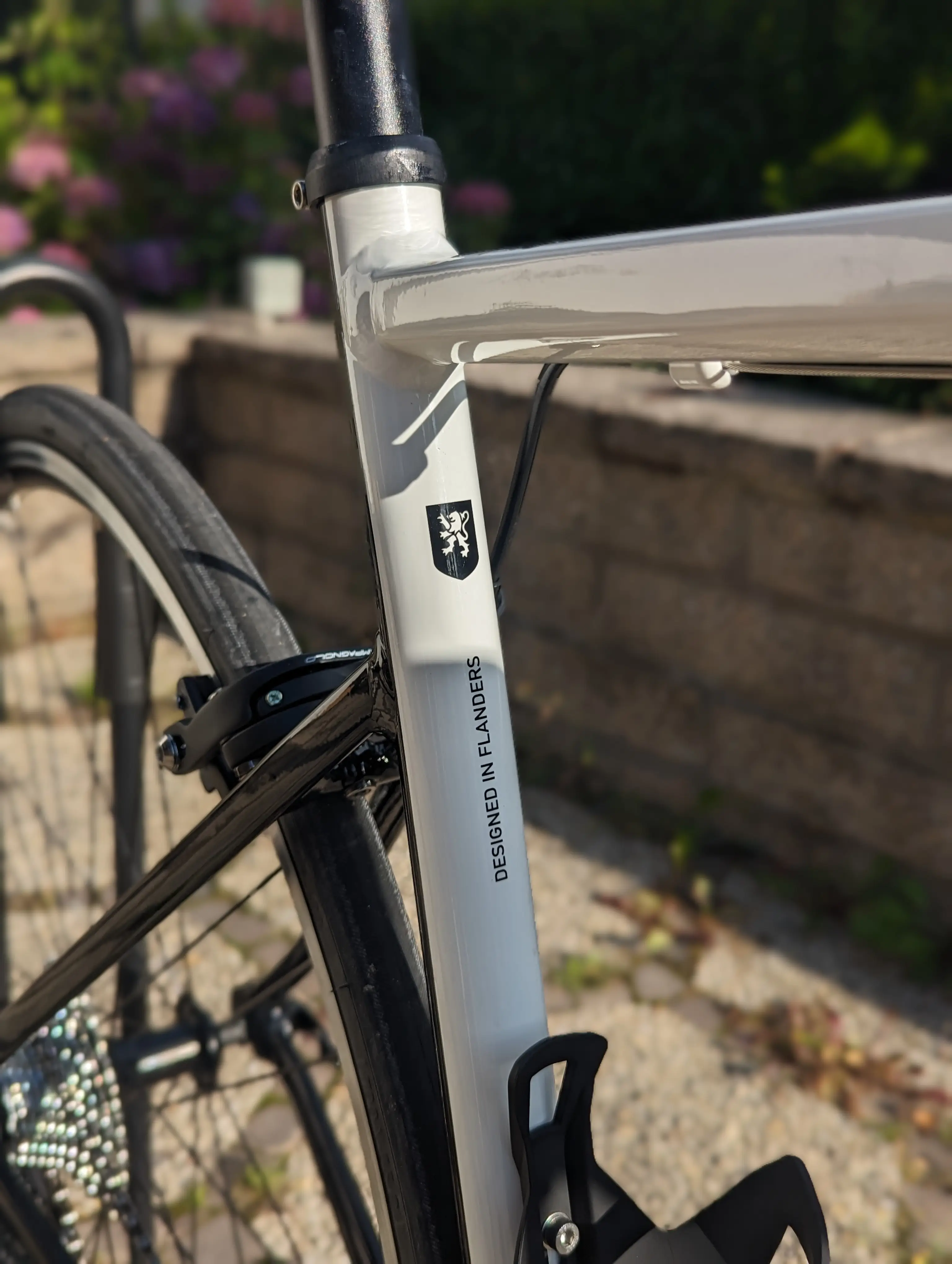 Van rysel Road Bike EDR AF Centaur utilizado en L | buycycle