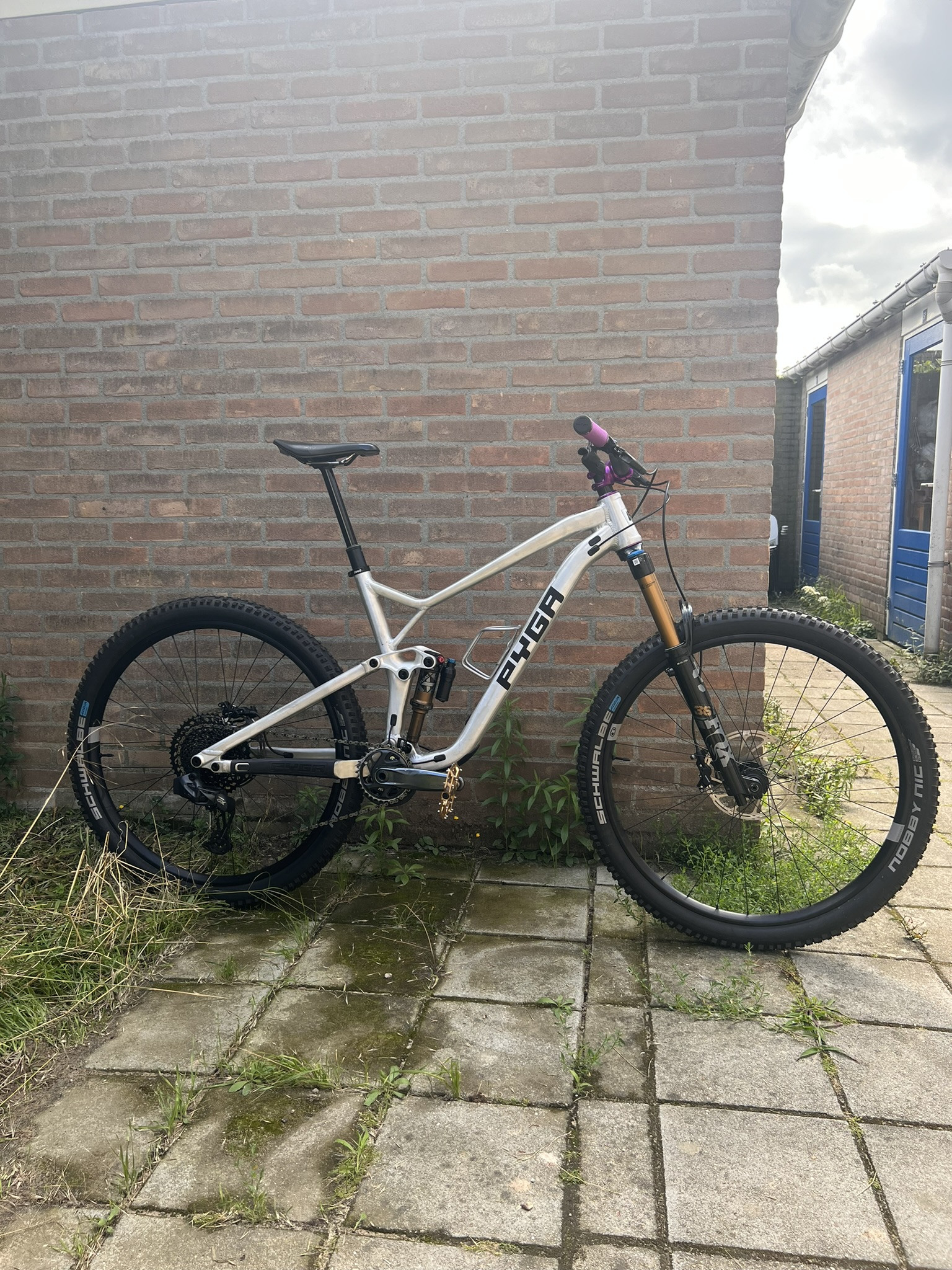 Pyga Hyrax GX Eagle gebraucht kaufen L | buycycle