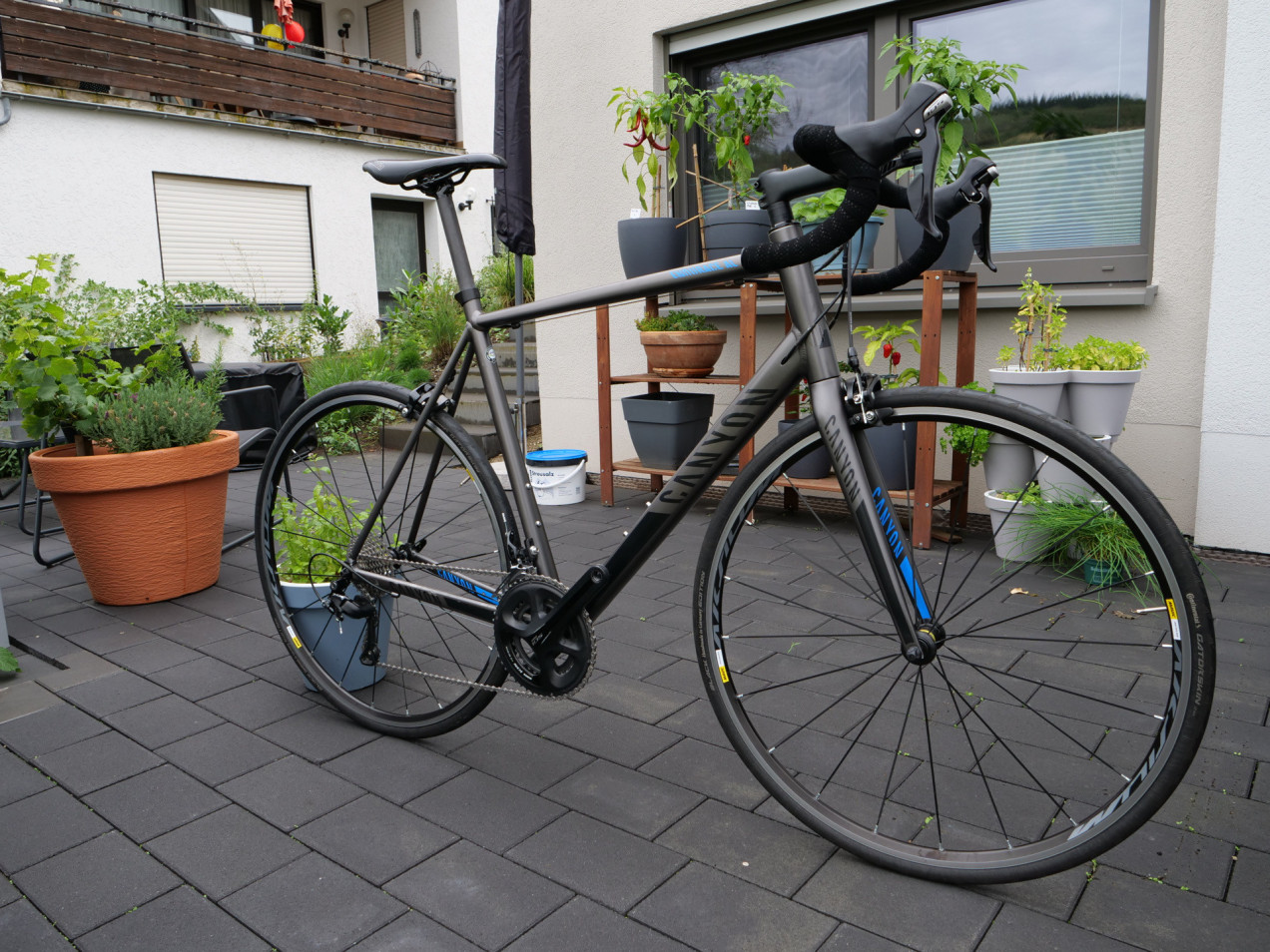 Canyon Endurace AL 6.0 used in xl | buycycle