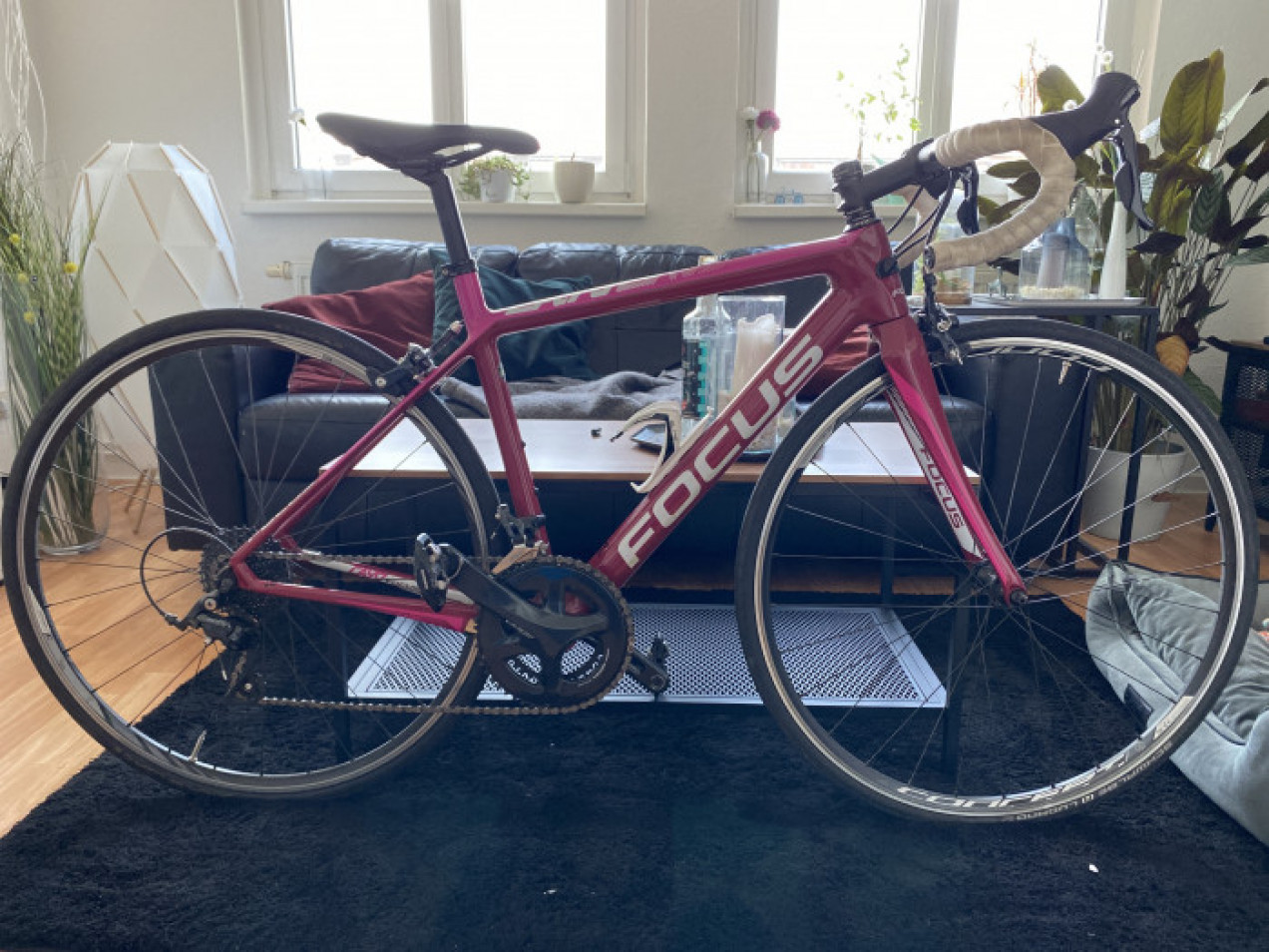 Focus Cayo Donna Sora gebraucht kaufen 48 cm | buycycle