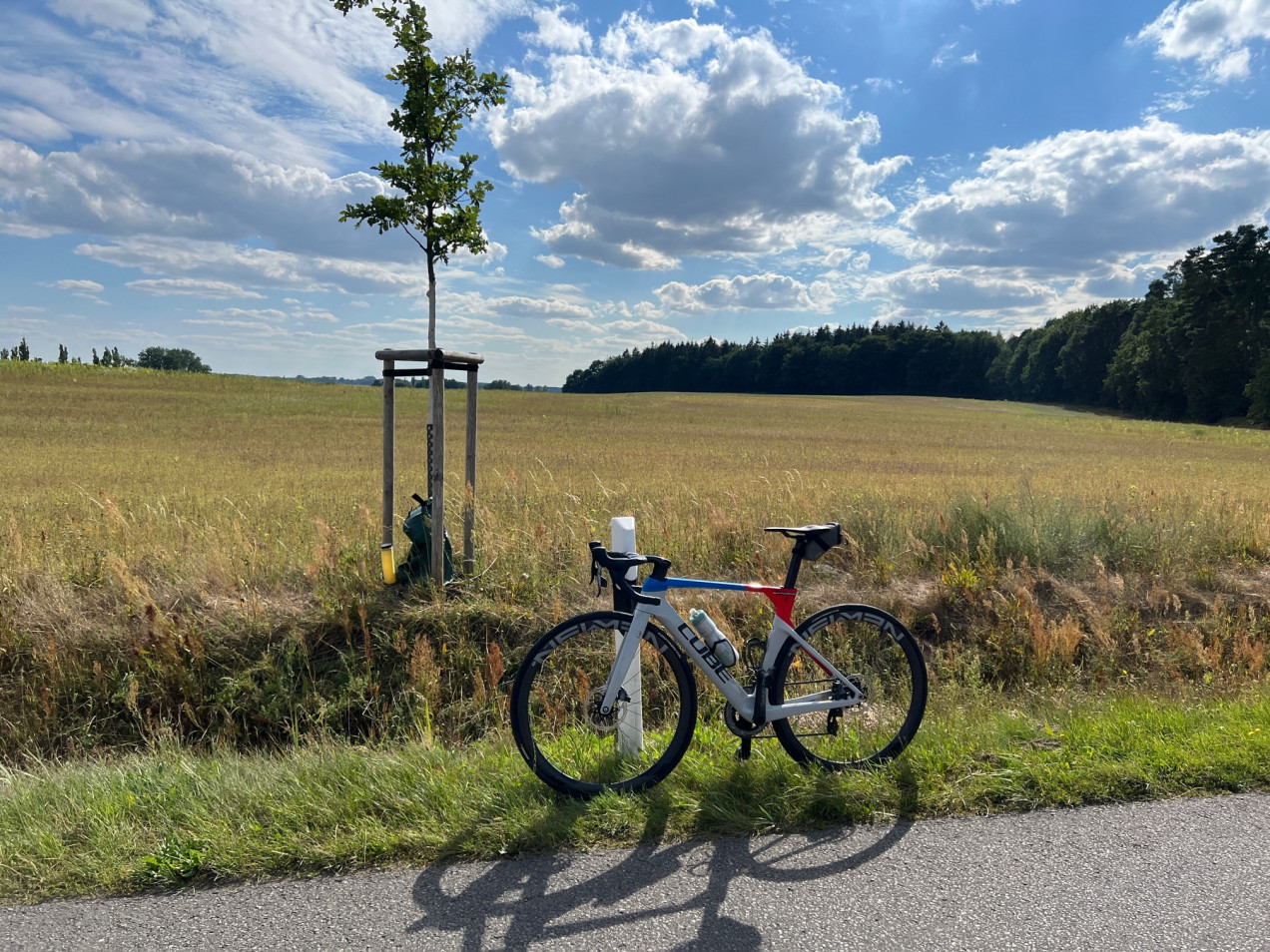 CUBE LITENING C:68X RACE used in 54 cm | buycycle