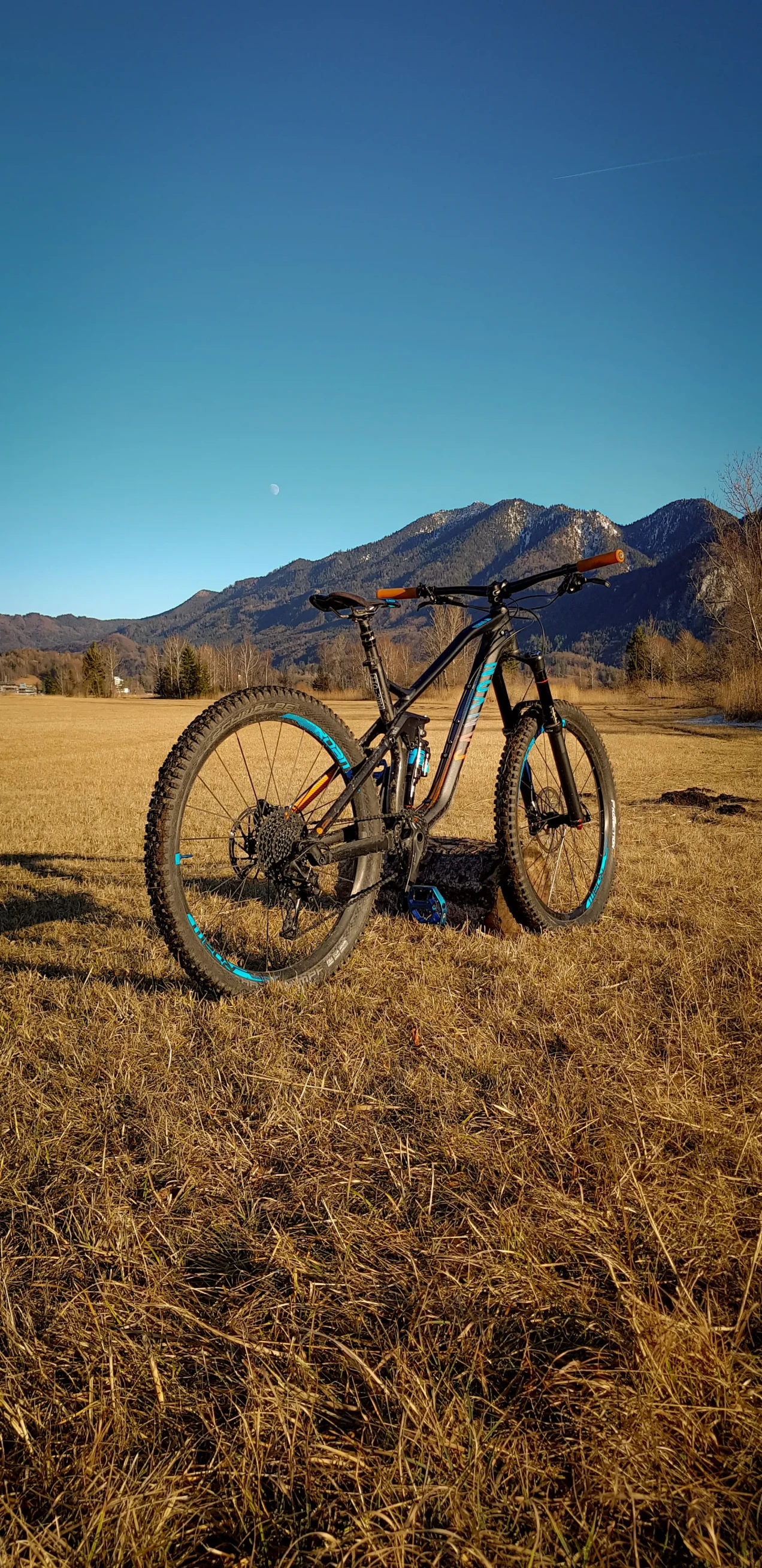 Canyon Strive AL 6.0 Race used in l | buycycle