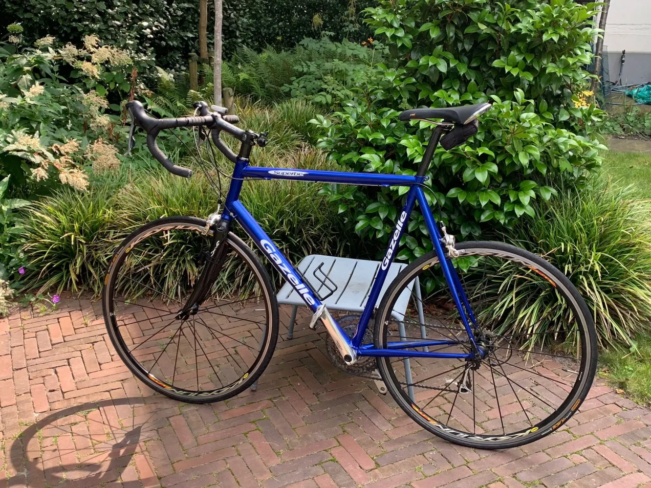 Gazelle Road Bike