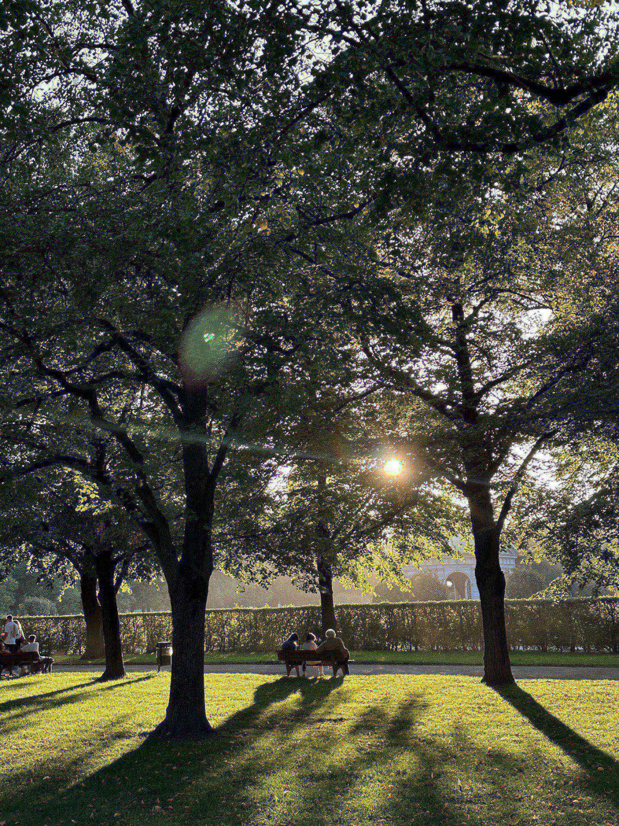 CUBE Flying Circus used in L | buycycle