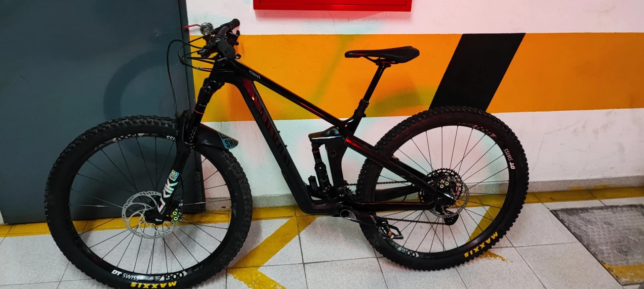 Canyon Strive CF 7 used in s | buycycle