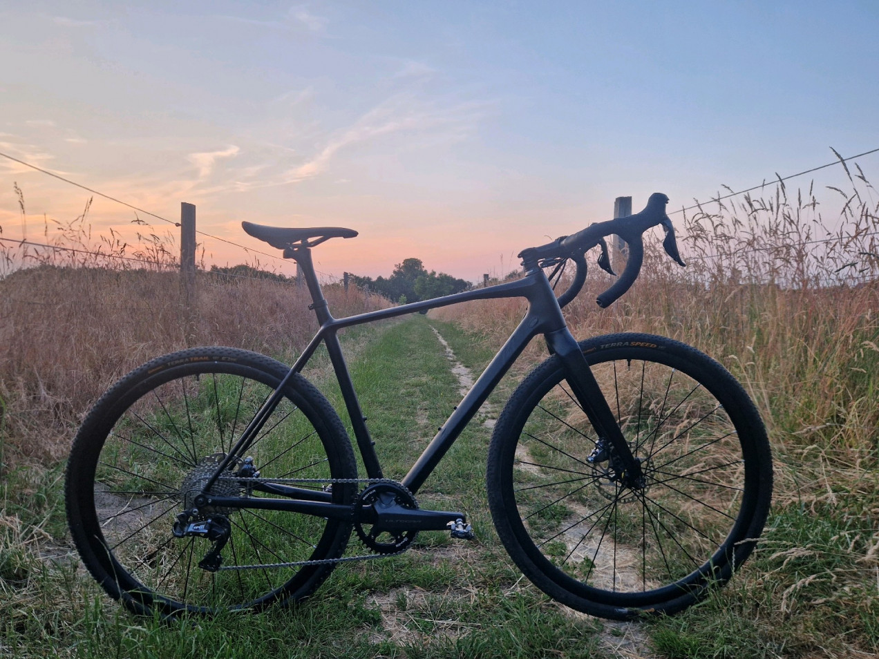 C14 Speed Pro used in s | buycycle