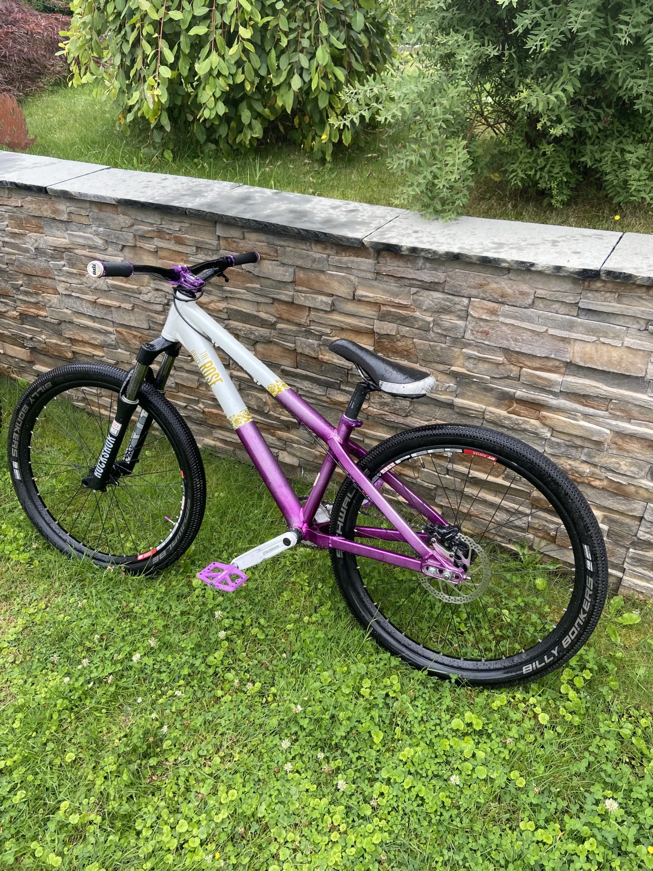 Rose THE BRUCE 1 used in M | buycycle