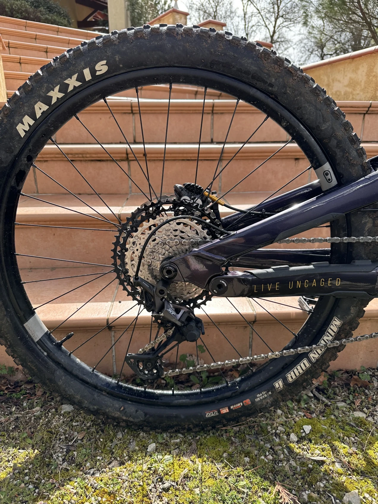 YT Industries Decoy Elite used in xxl | buycycle