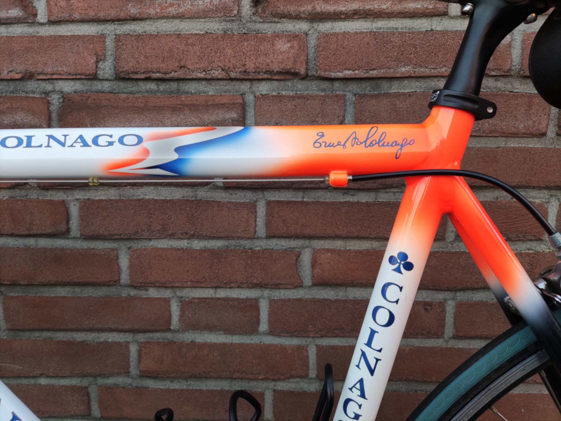 Colnago Custom used in 55 cm | buycycle