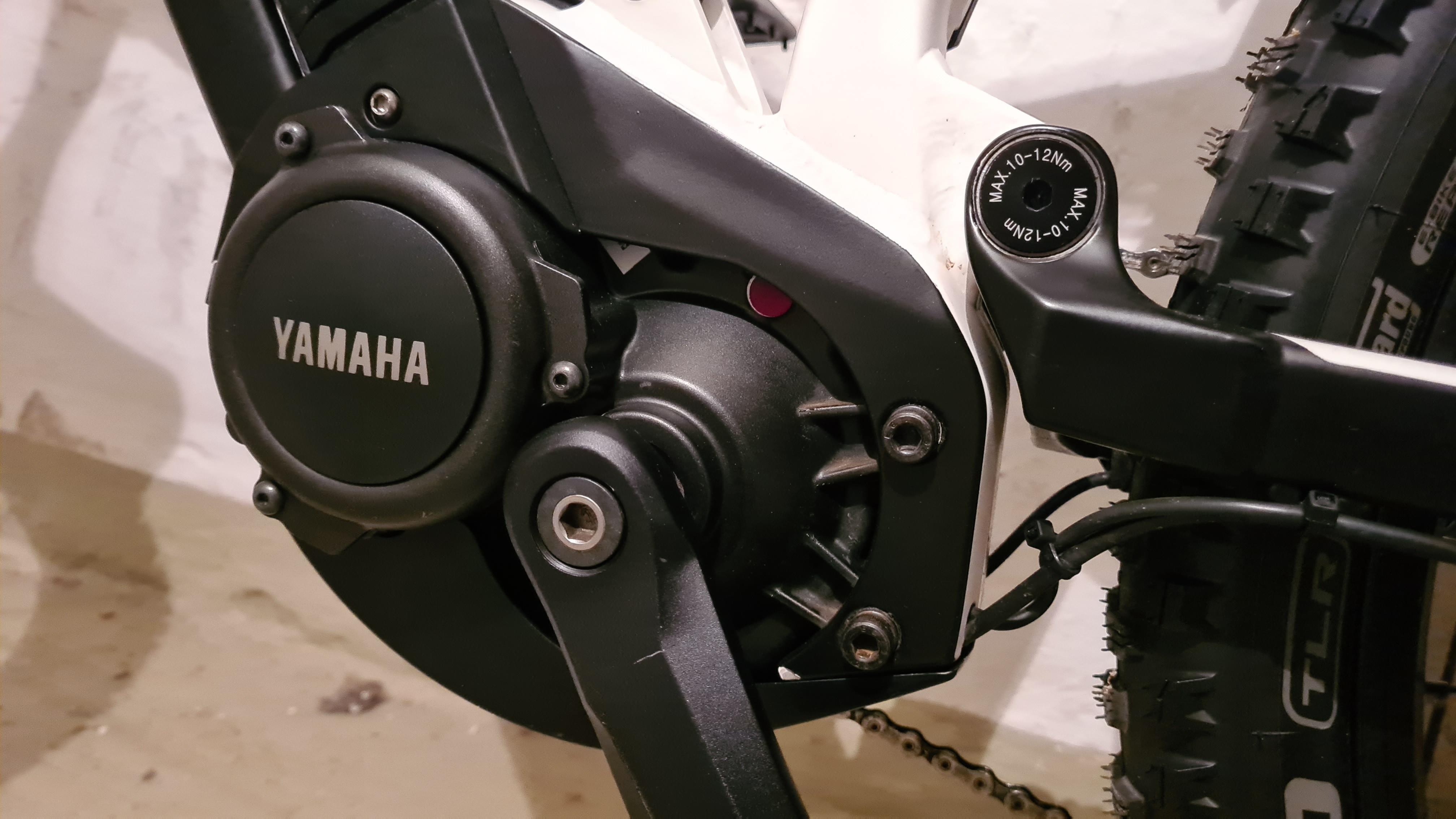 BH Bikes Lynx Rebel 5.5 used in L | buycycle