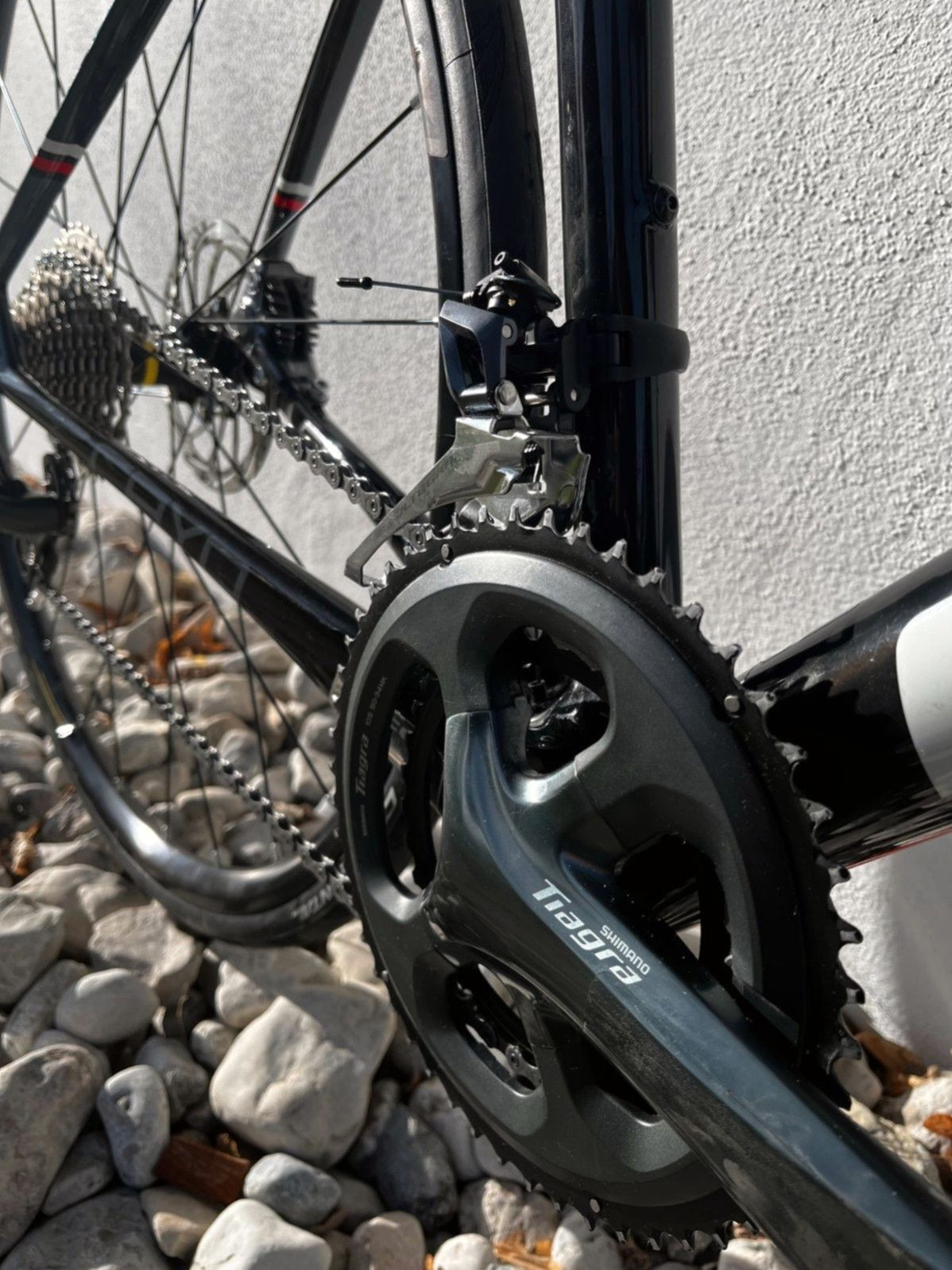 Focus Cayo Disc used in 51 cm | buycycle