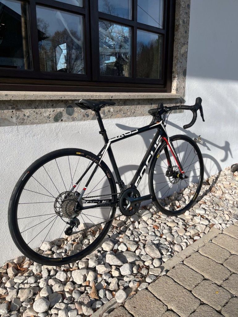 Focus Cayo Disc used in 51 cm | buycycle