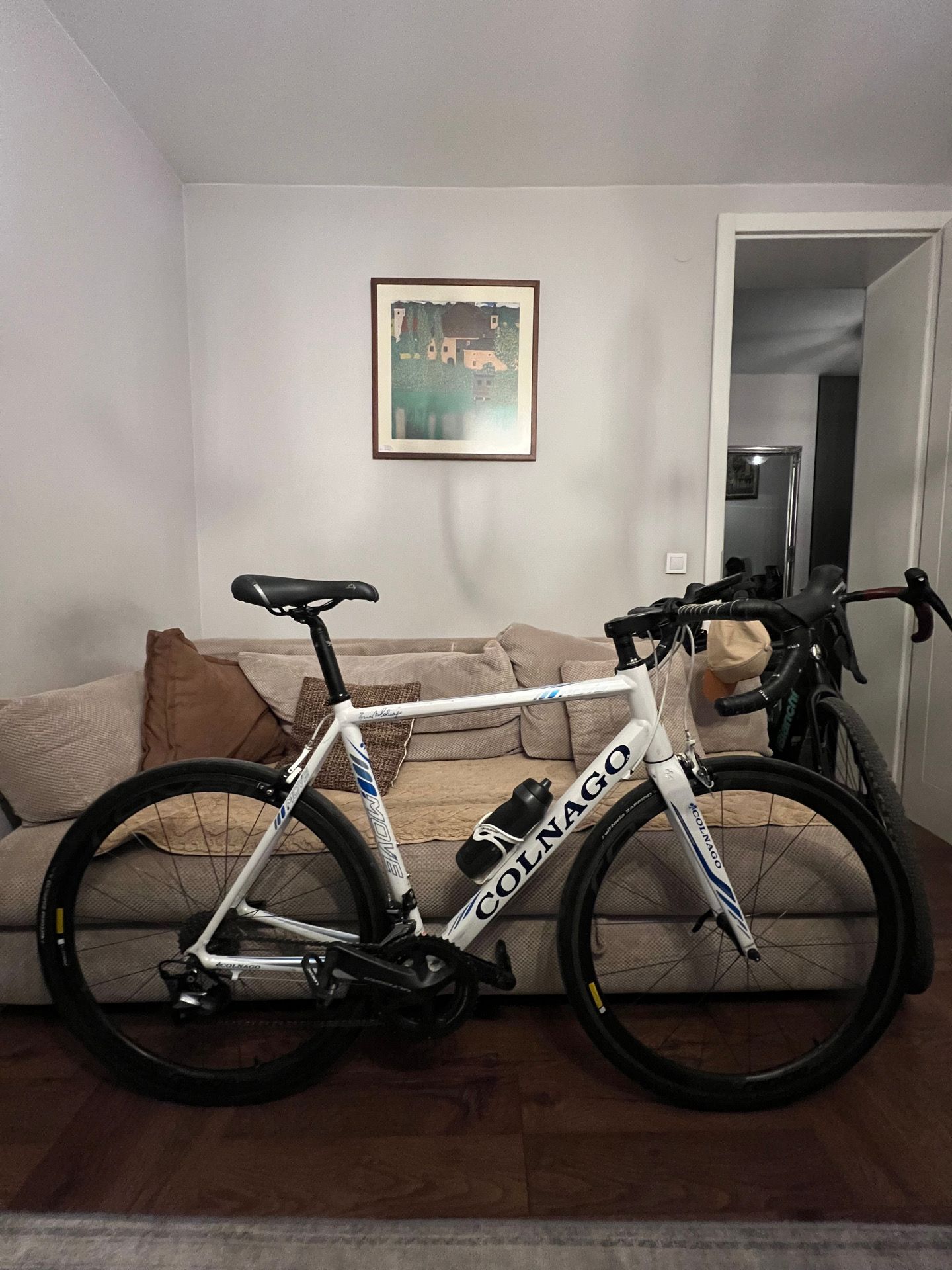 Colnago PRIMA used in L | buycycle