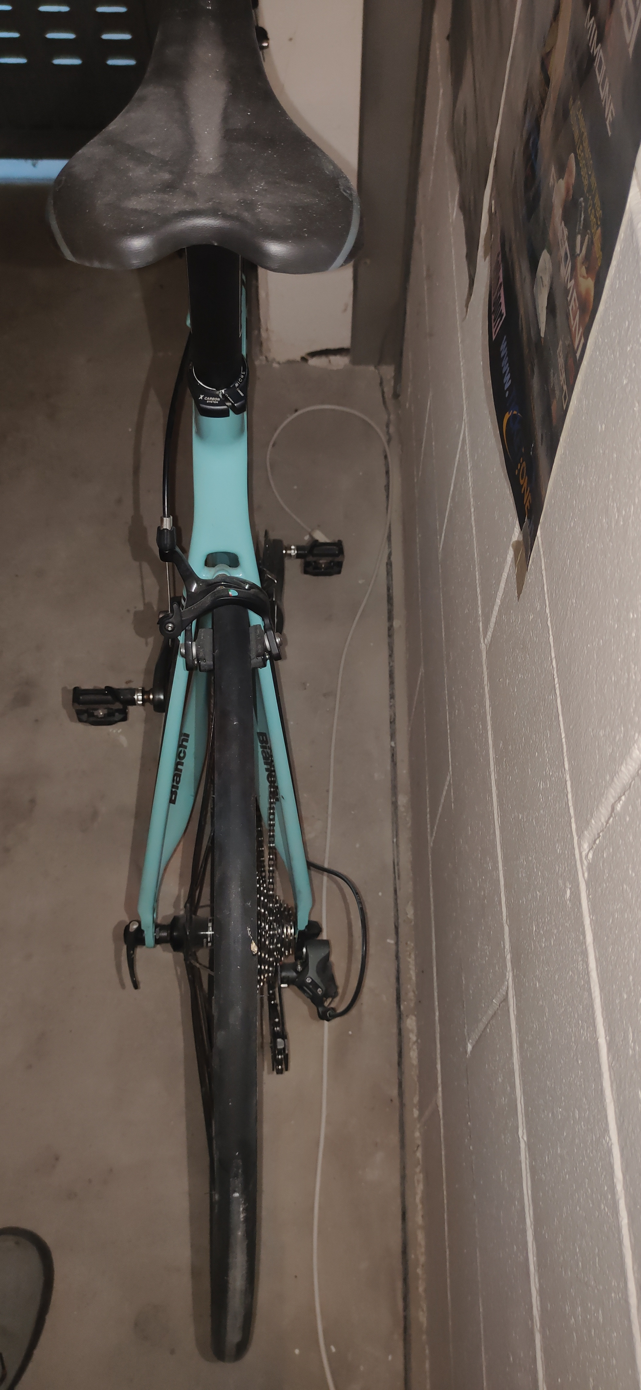 Bianchi Intrepida Tiagra used in 60 cm | buycycle