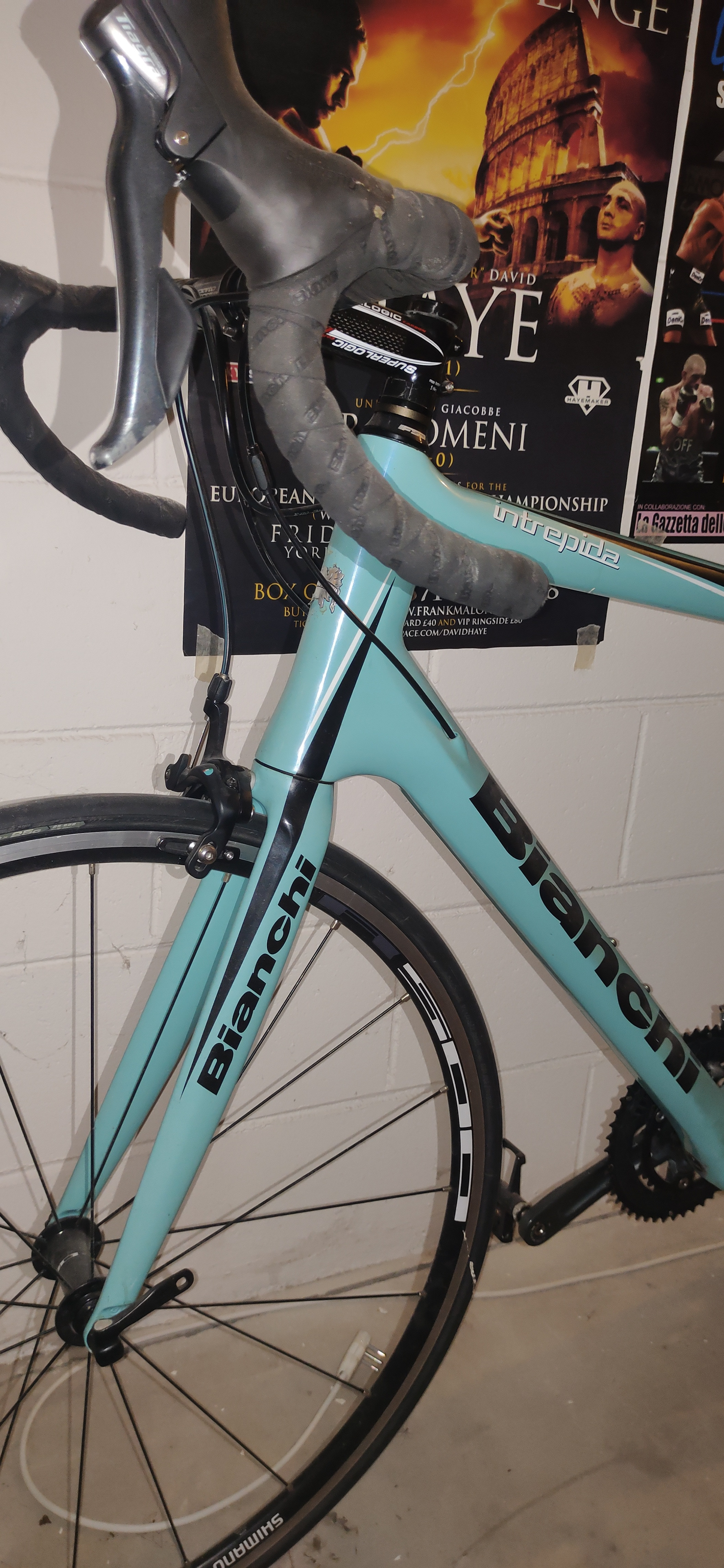 Bianchi Intrepida Tiagra used in 60 cm | buycycle