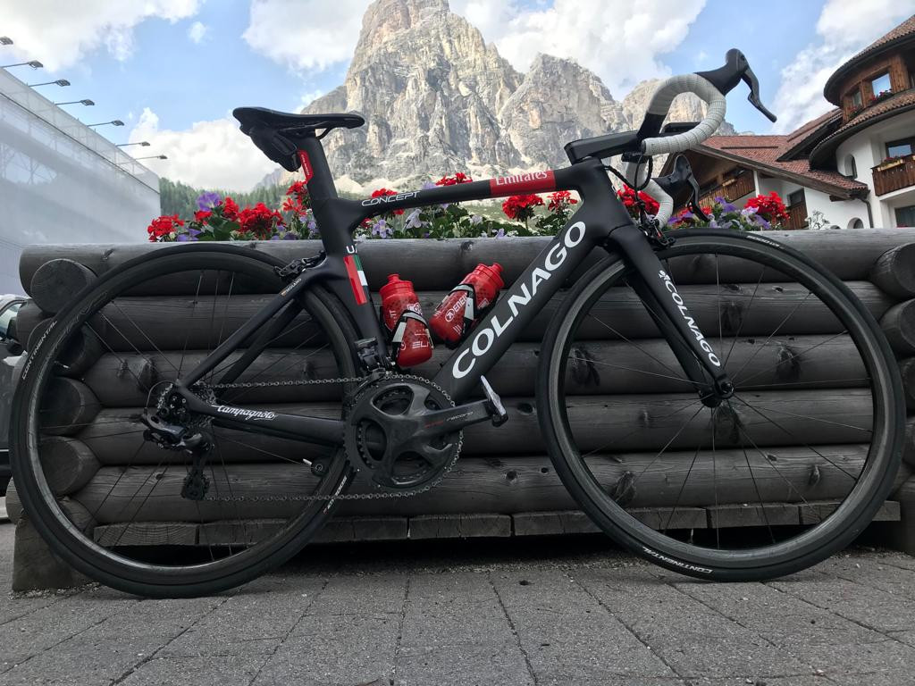 Colnago Concept Frameset utilizado en M | buycycle