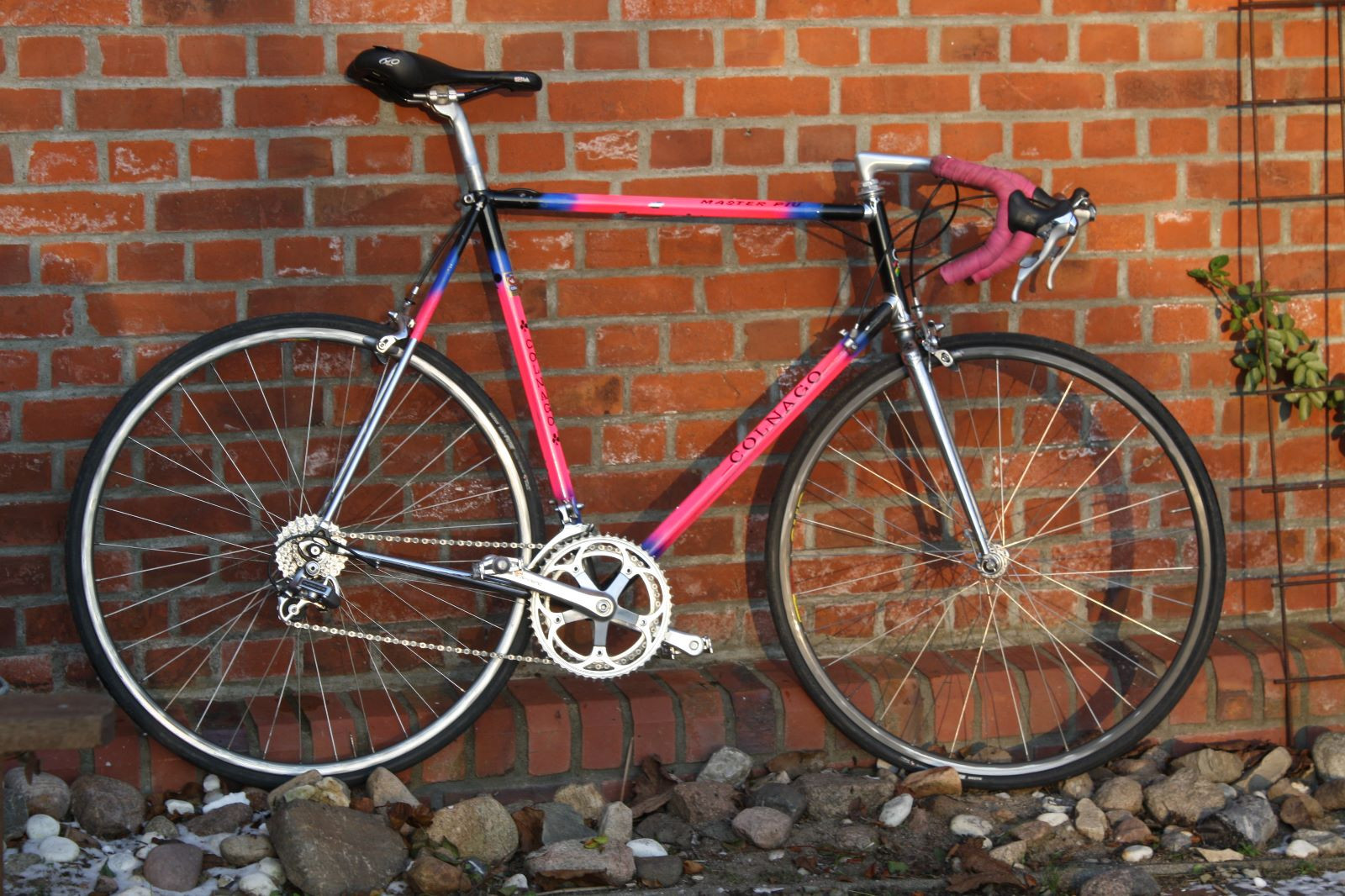 Colnago Master Piu used in L | buycycle