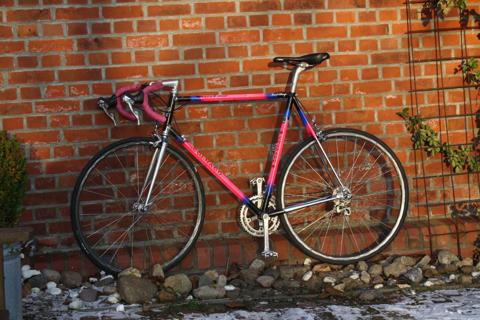 Colnago Master Piu used in L | buycycle