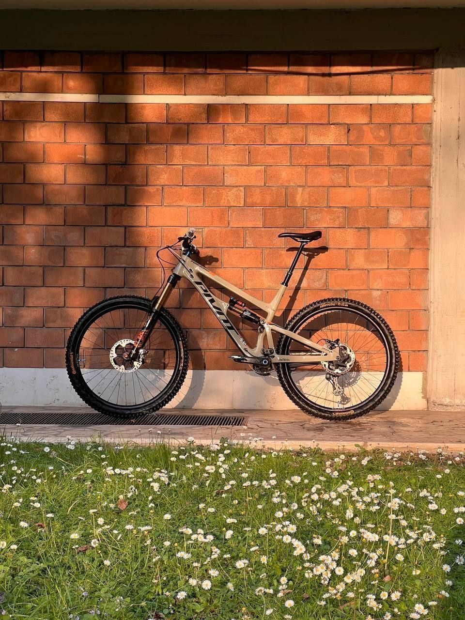 Pivot Firebird 29 Pro XT/XTR d'occasion en XL | buycycle