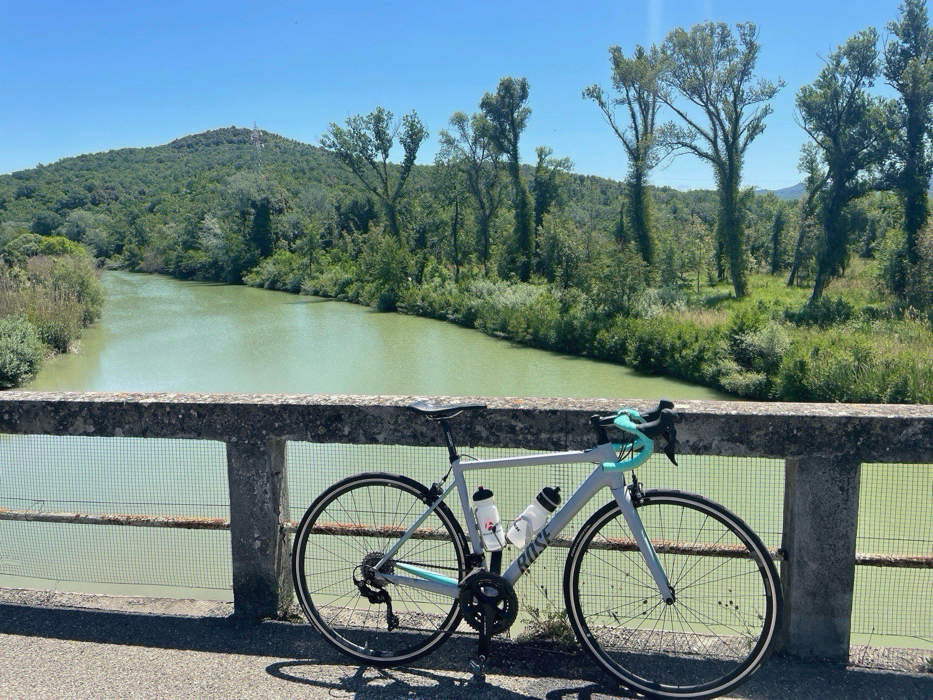 Rose PRO SL 105 used in S | buycycle