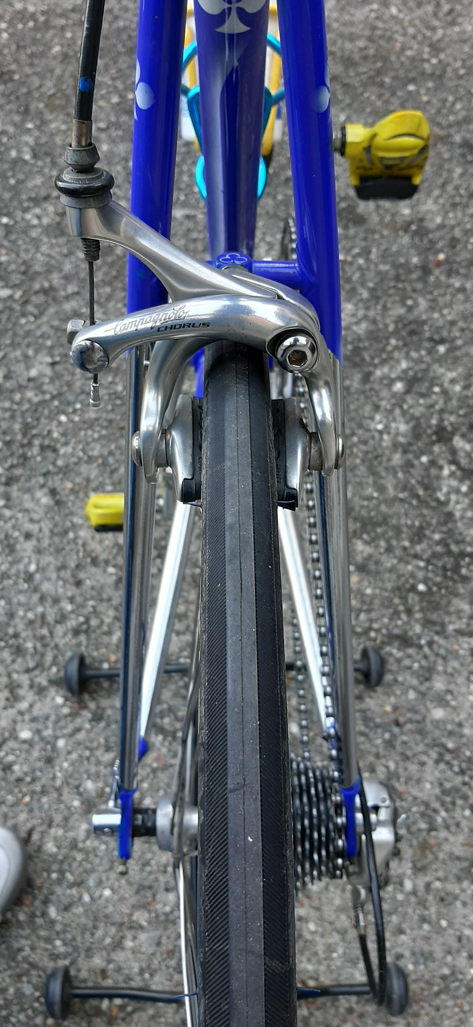 Colnago Master Piu gebruikt in M | buycycle