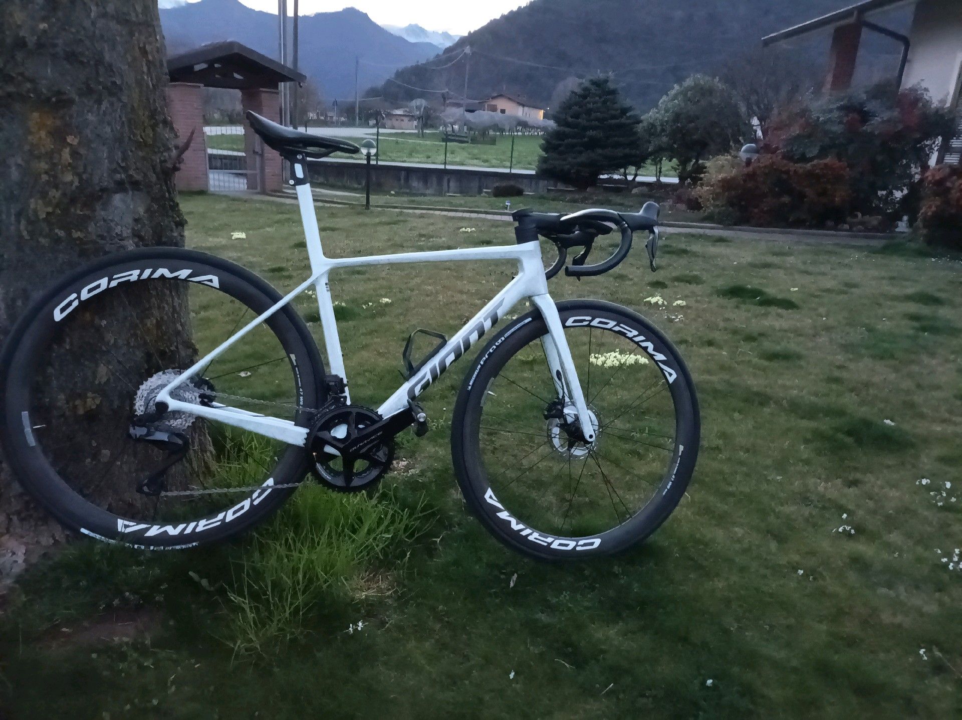 Giant TCR Advanced SL 0 DA gebraucht kaufen MD/LG | buycycle