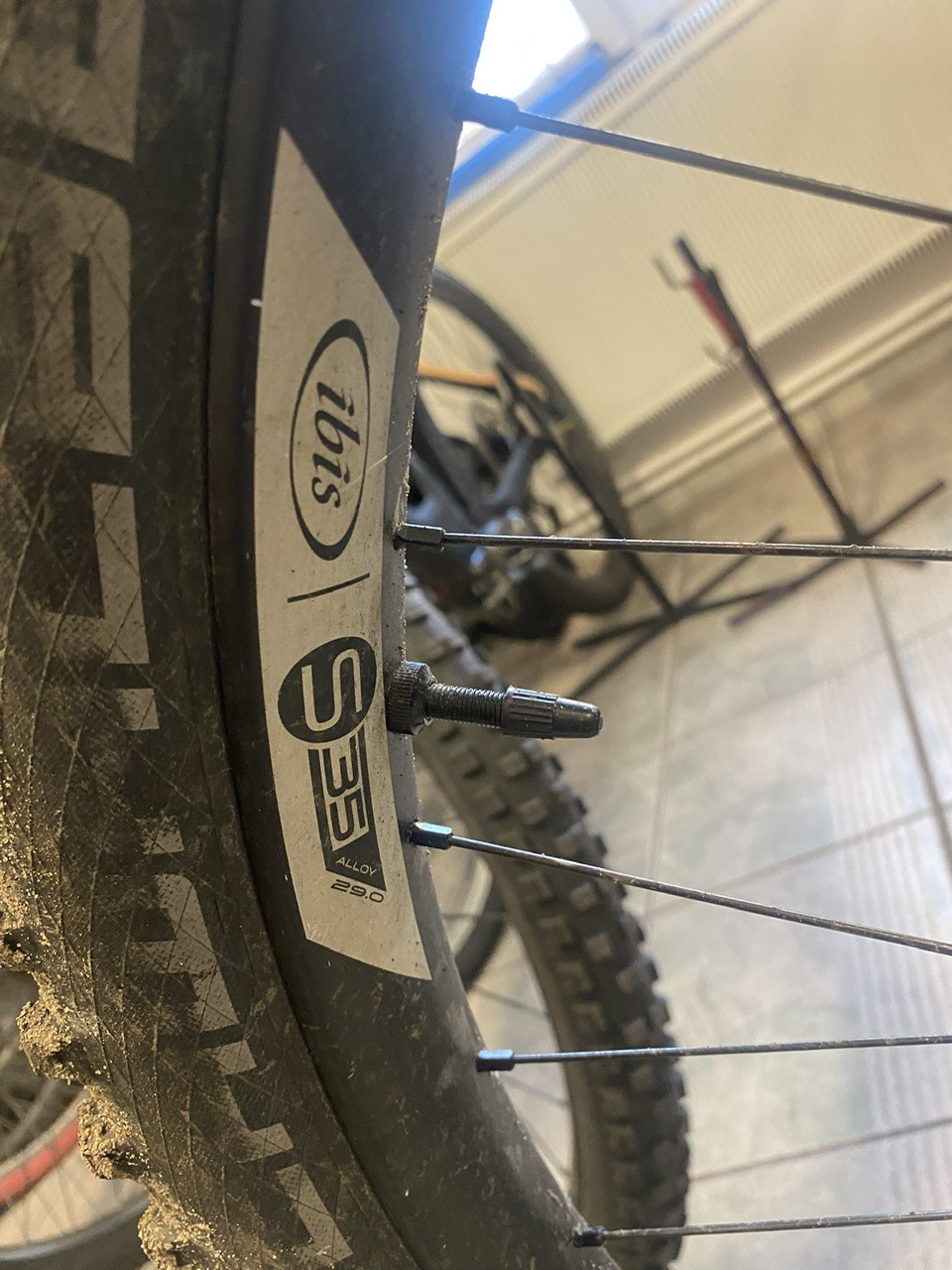 Ibis Ripmo GX Eagle used in LG | buycycle