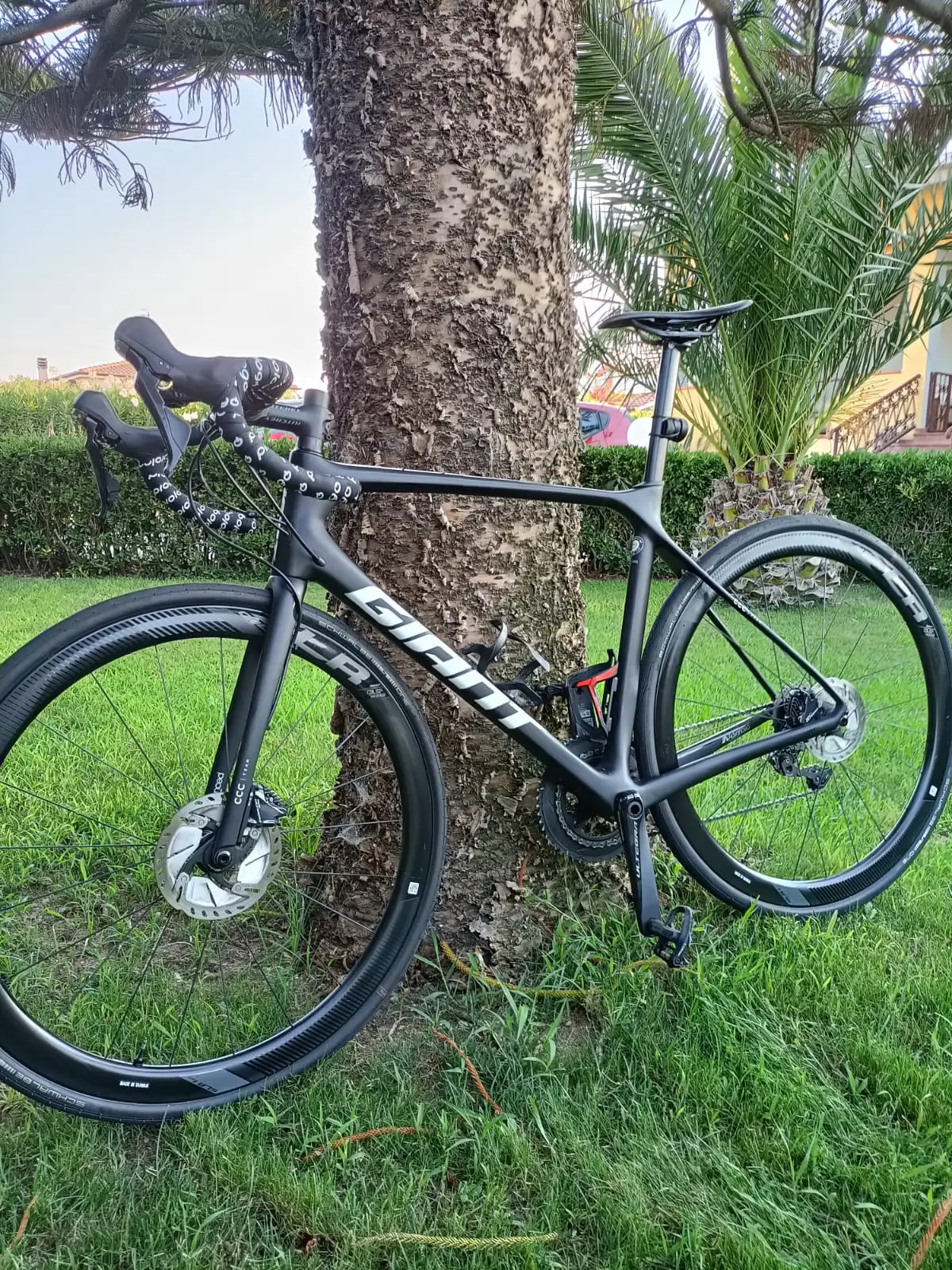 Giant TCR Advanced Pro Team gebraucht kaufen 56 cm | buycycle